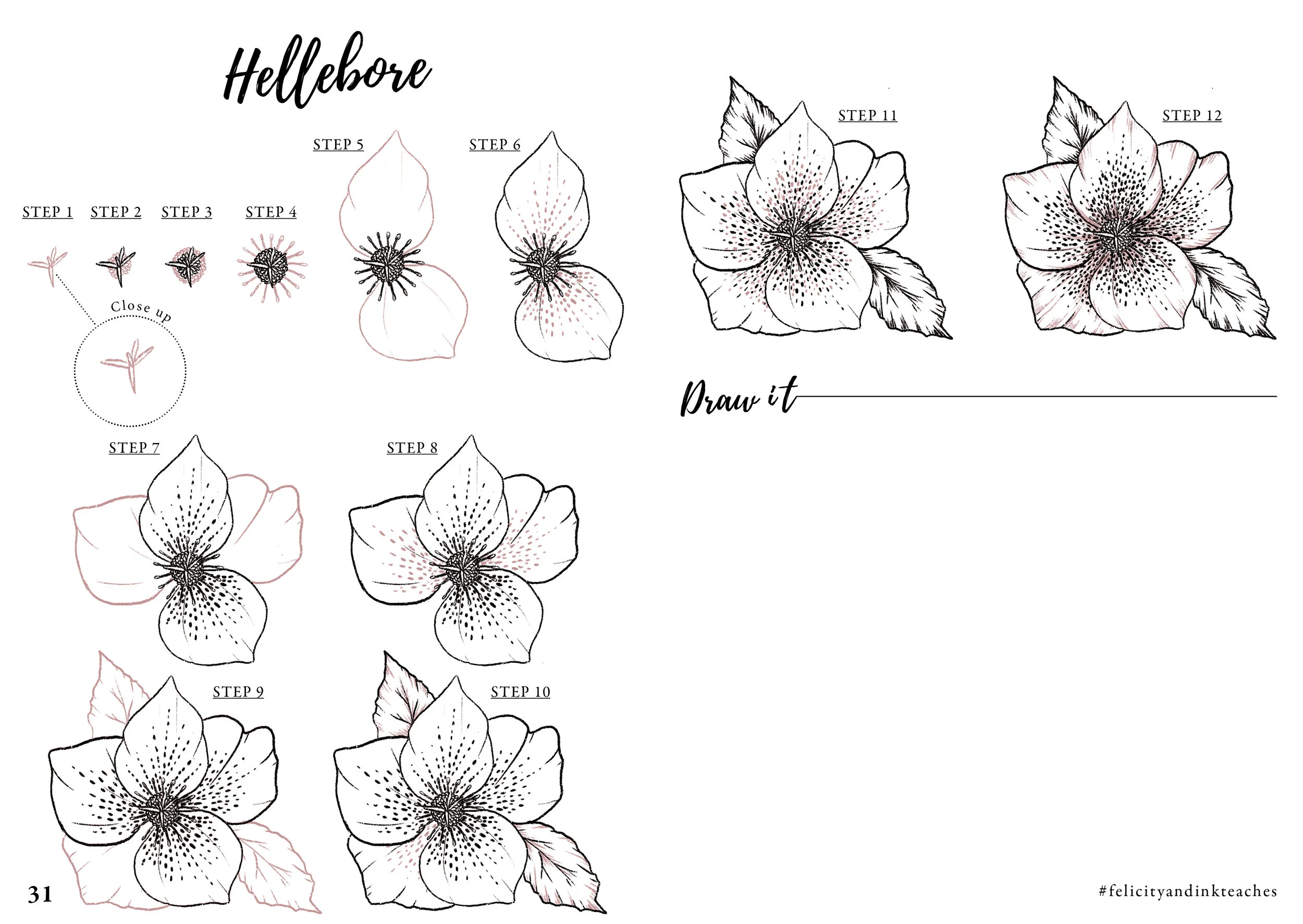 How To Draw A Flower Step By Step With Pictures