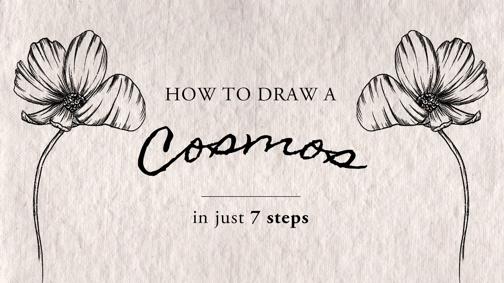 Free Drawing & Art Tutorials — Felicity & Ink