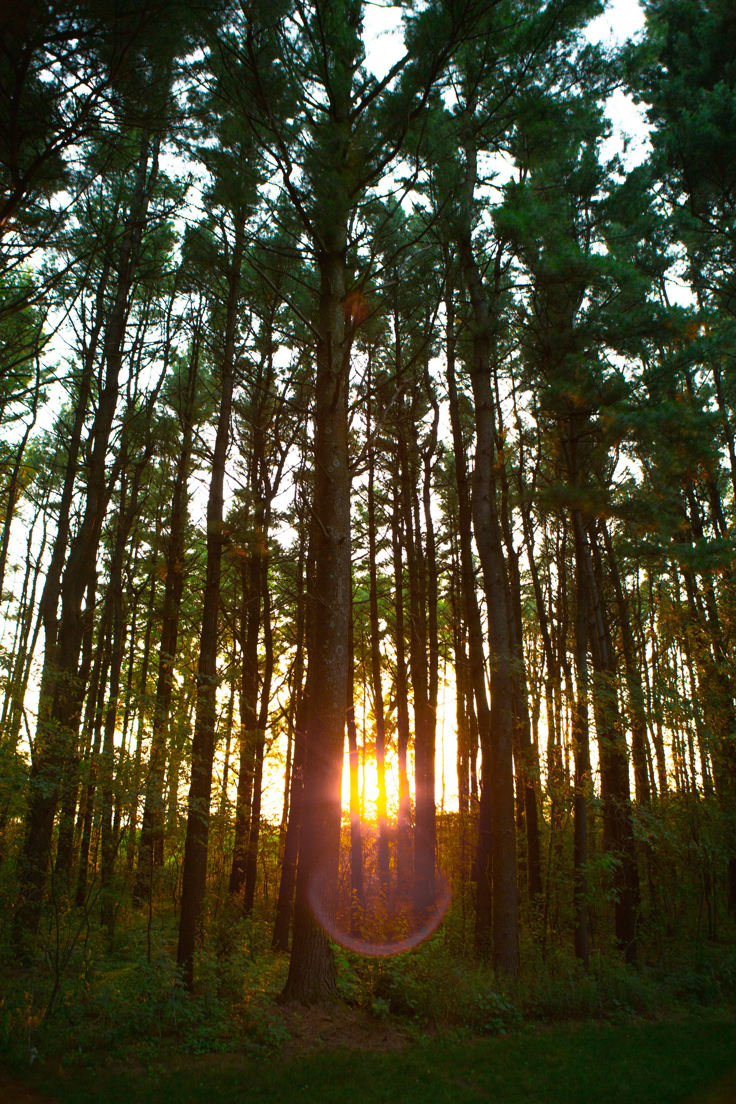 Outdoor Wedding & Event Venues - Whispering Woods