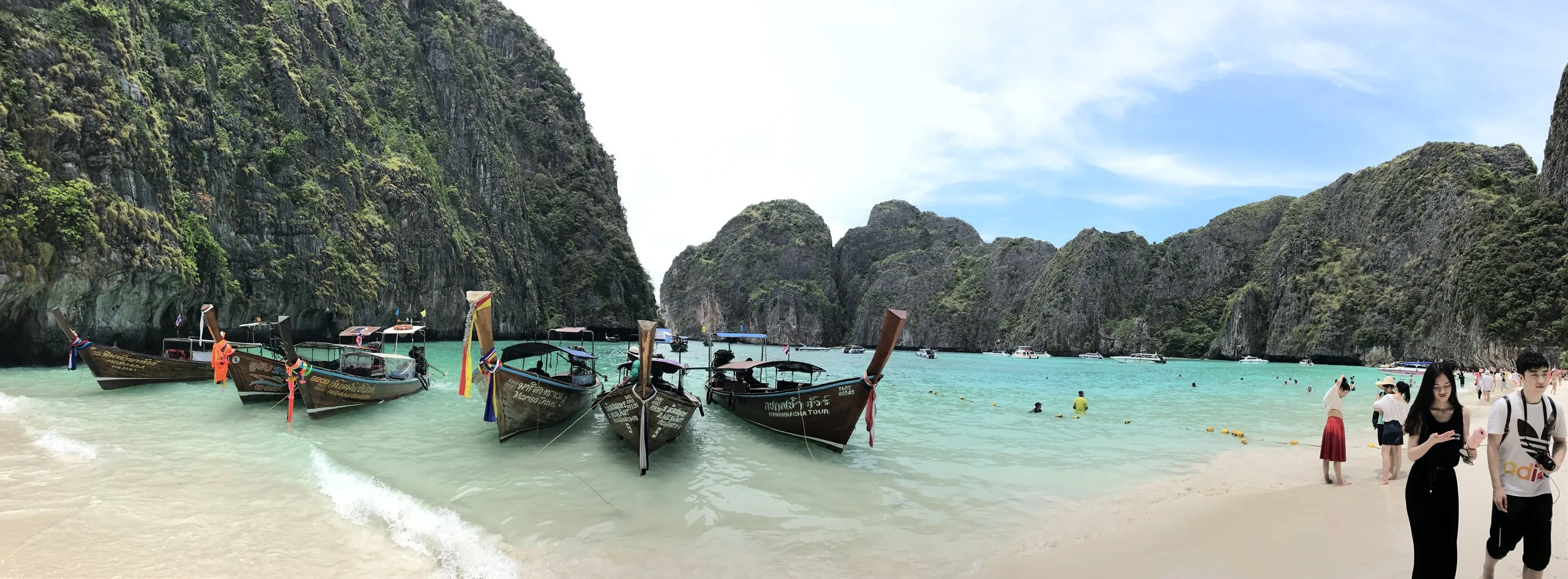 Maya Bay Shark