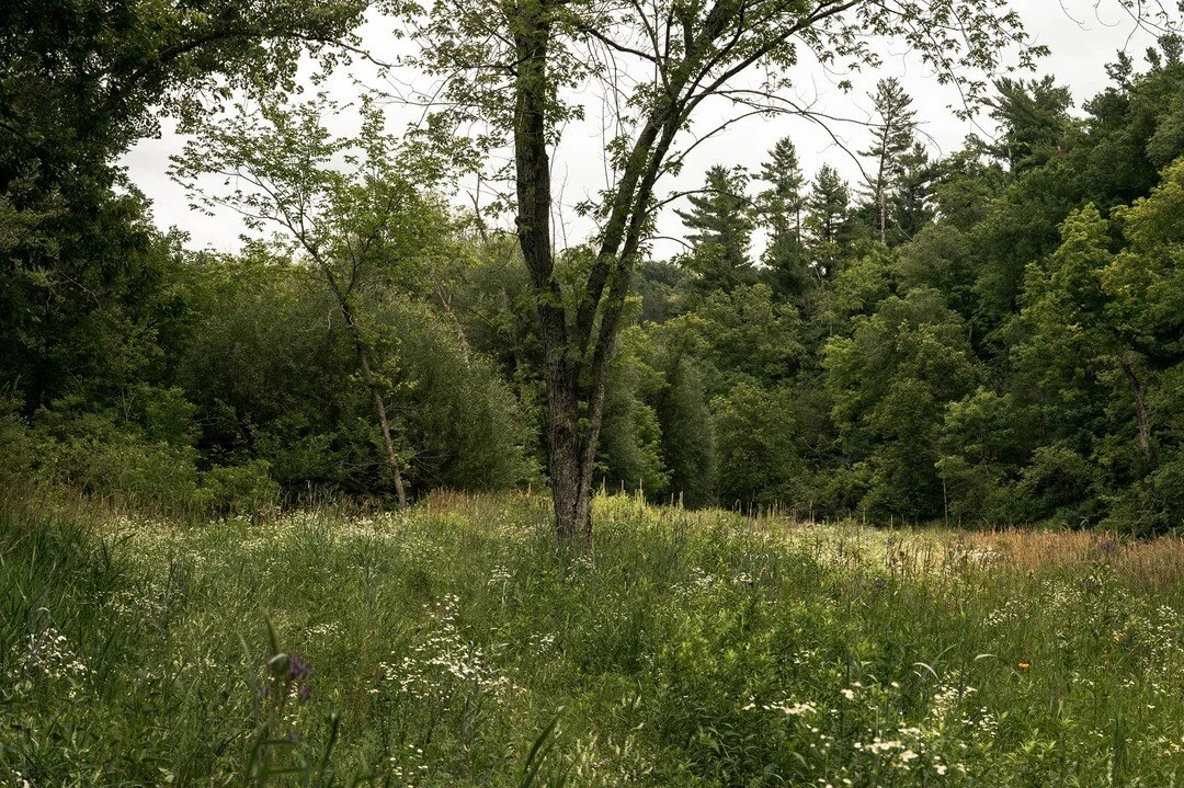 NRP - Ecological Restoration