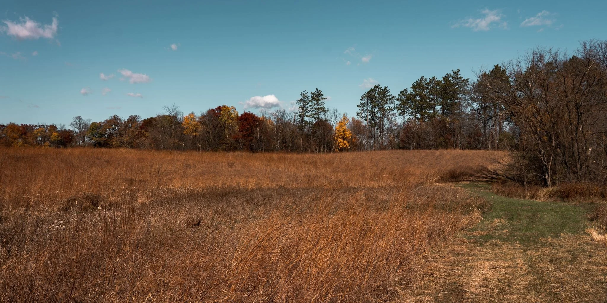 Prairie Restoration — NRP - Ecological Restoration