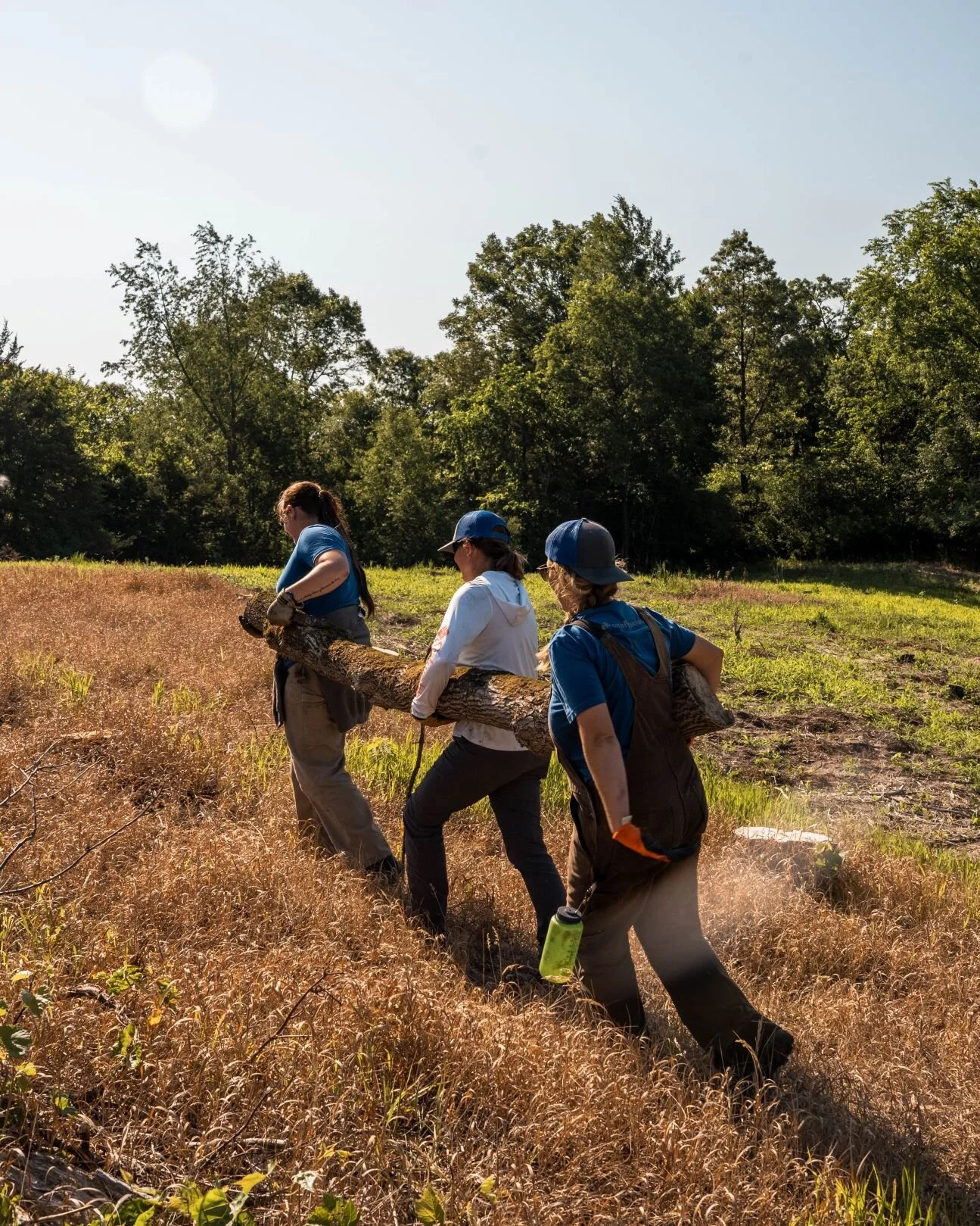 Prairie Restoration — NRP - Ecological Restoration
