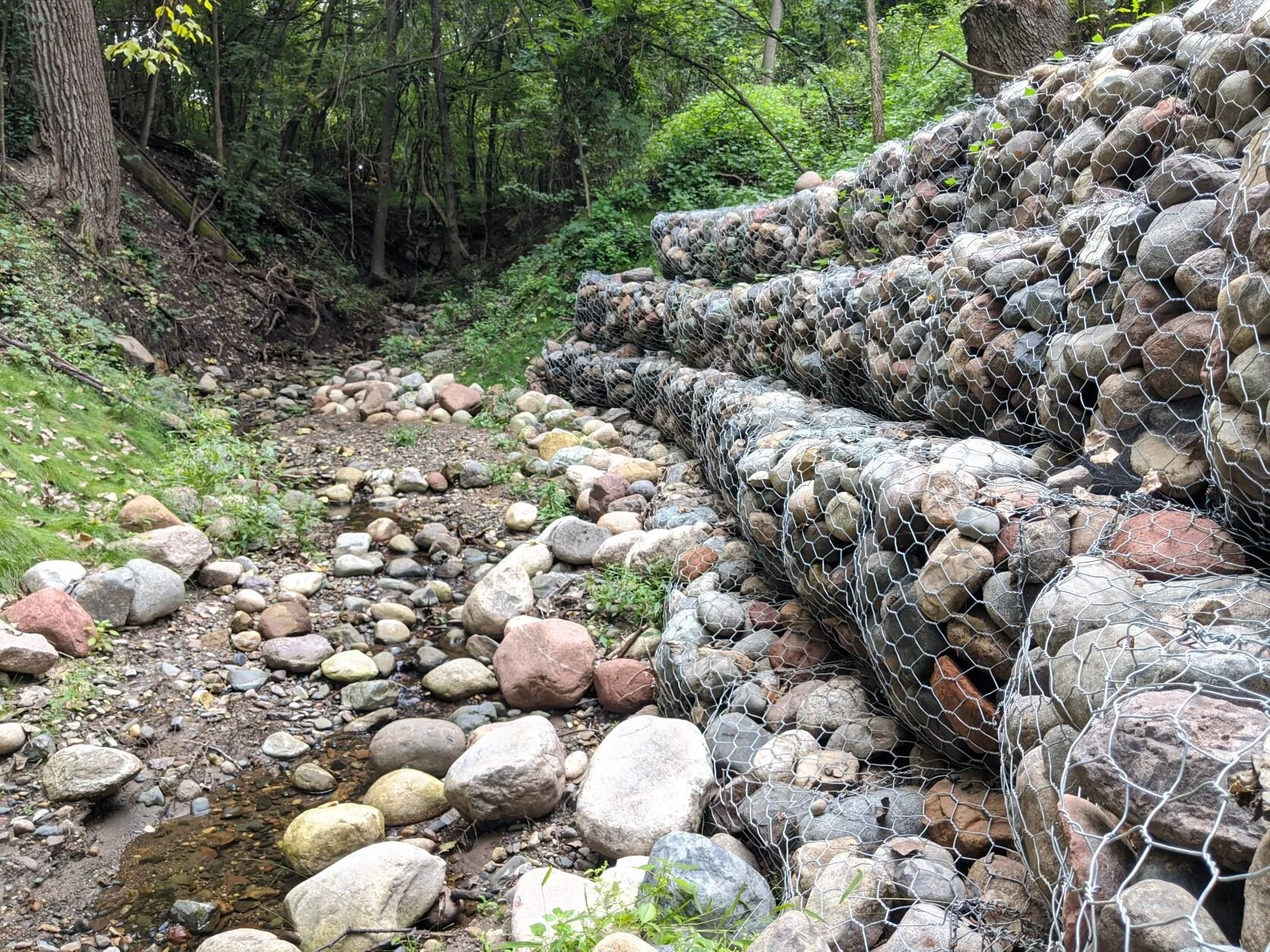 Stream and Shoreline Restoration — NRP - Ecological Restoration