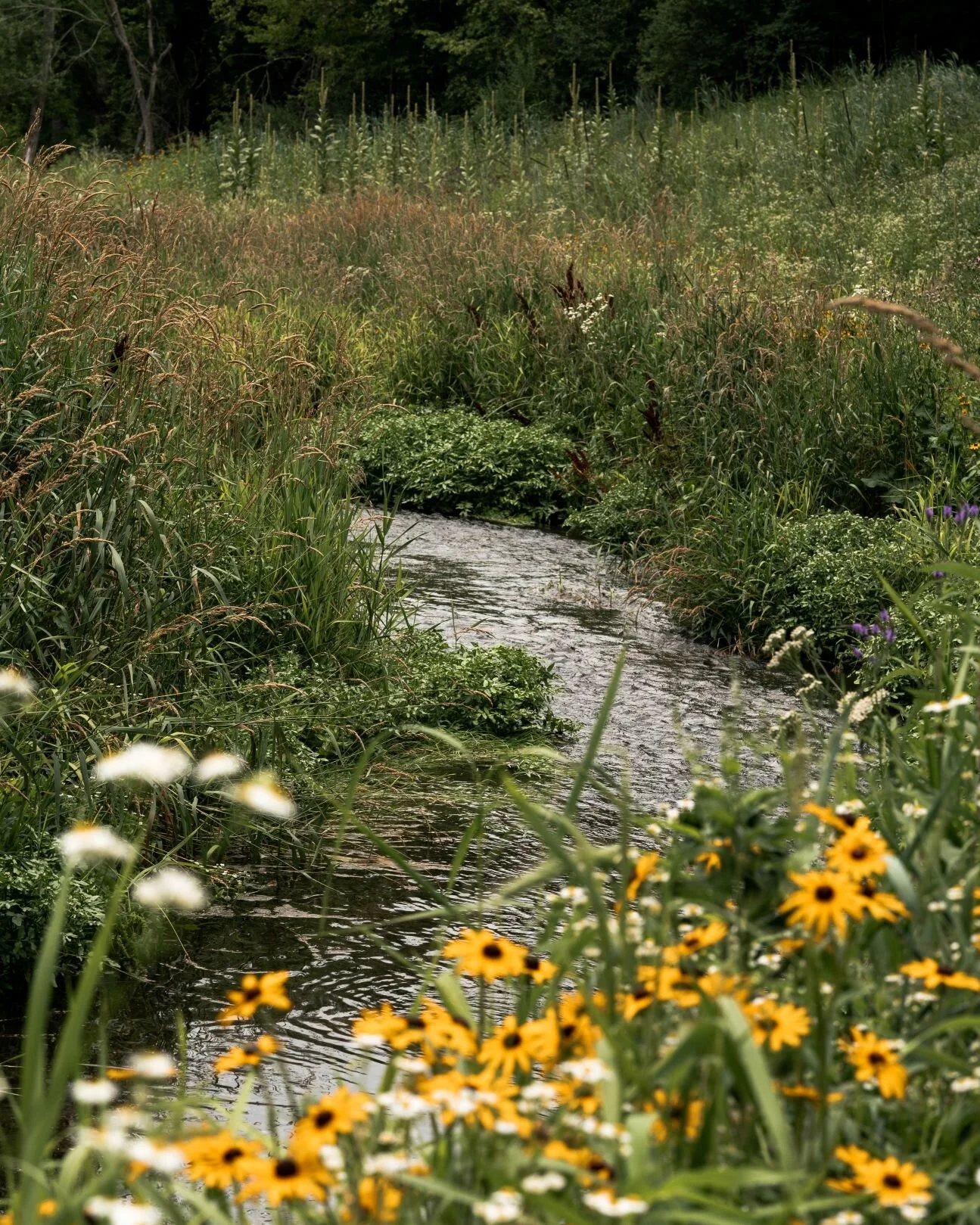Water Conservation — NRP - Ecological Restoration