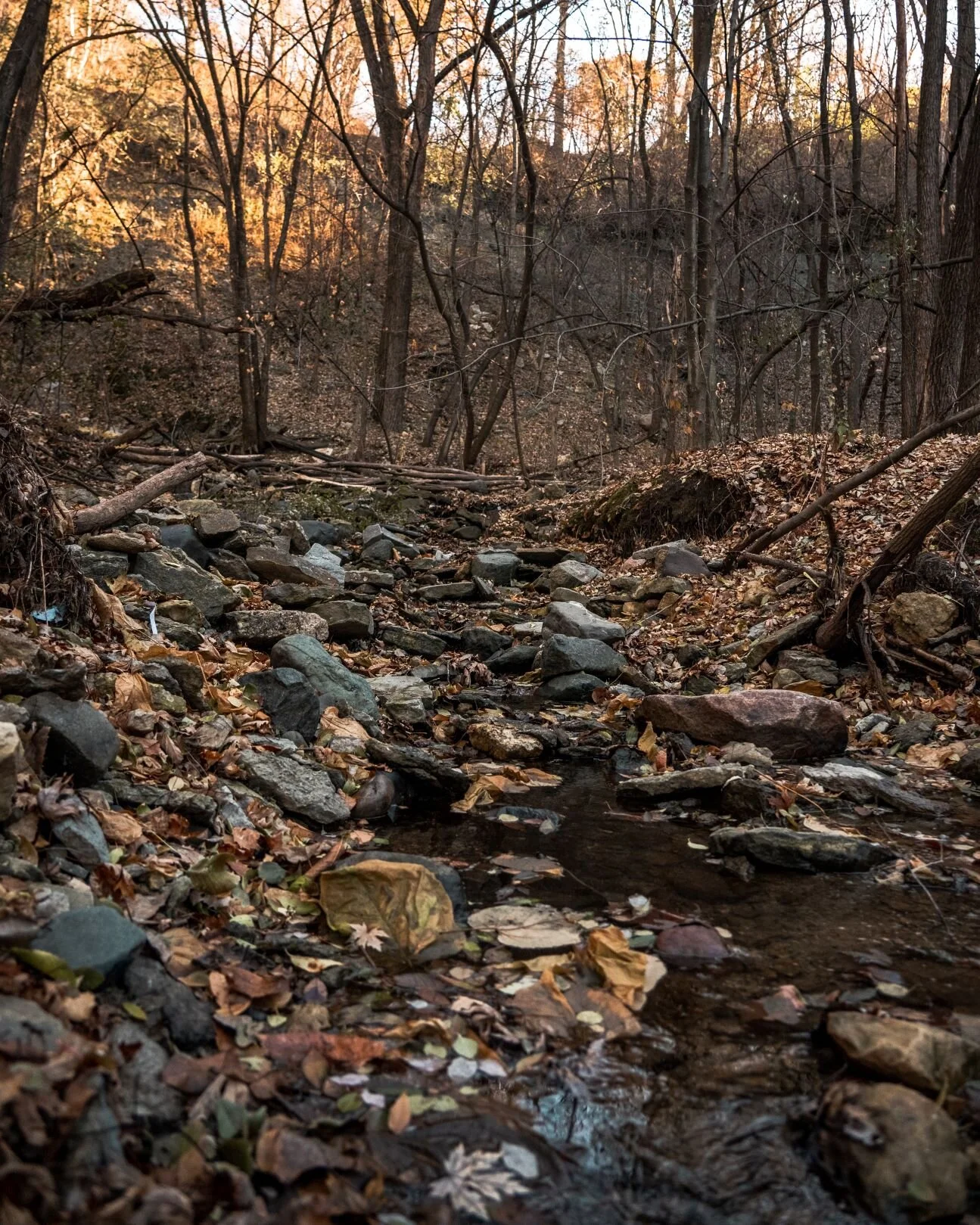 Water Conservation — NRP - Ecological Restoration