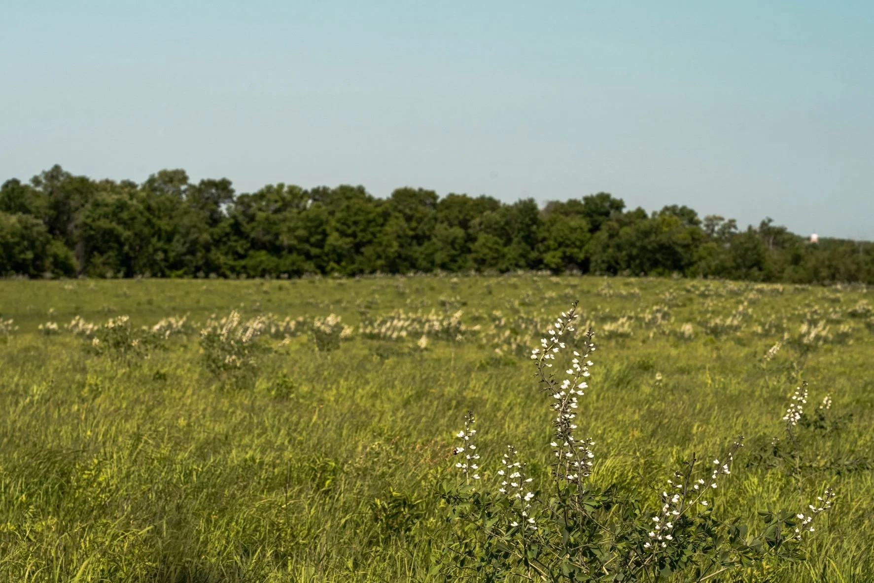 Our Projects Portfolio — NRP - Ecological Restoration