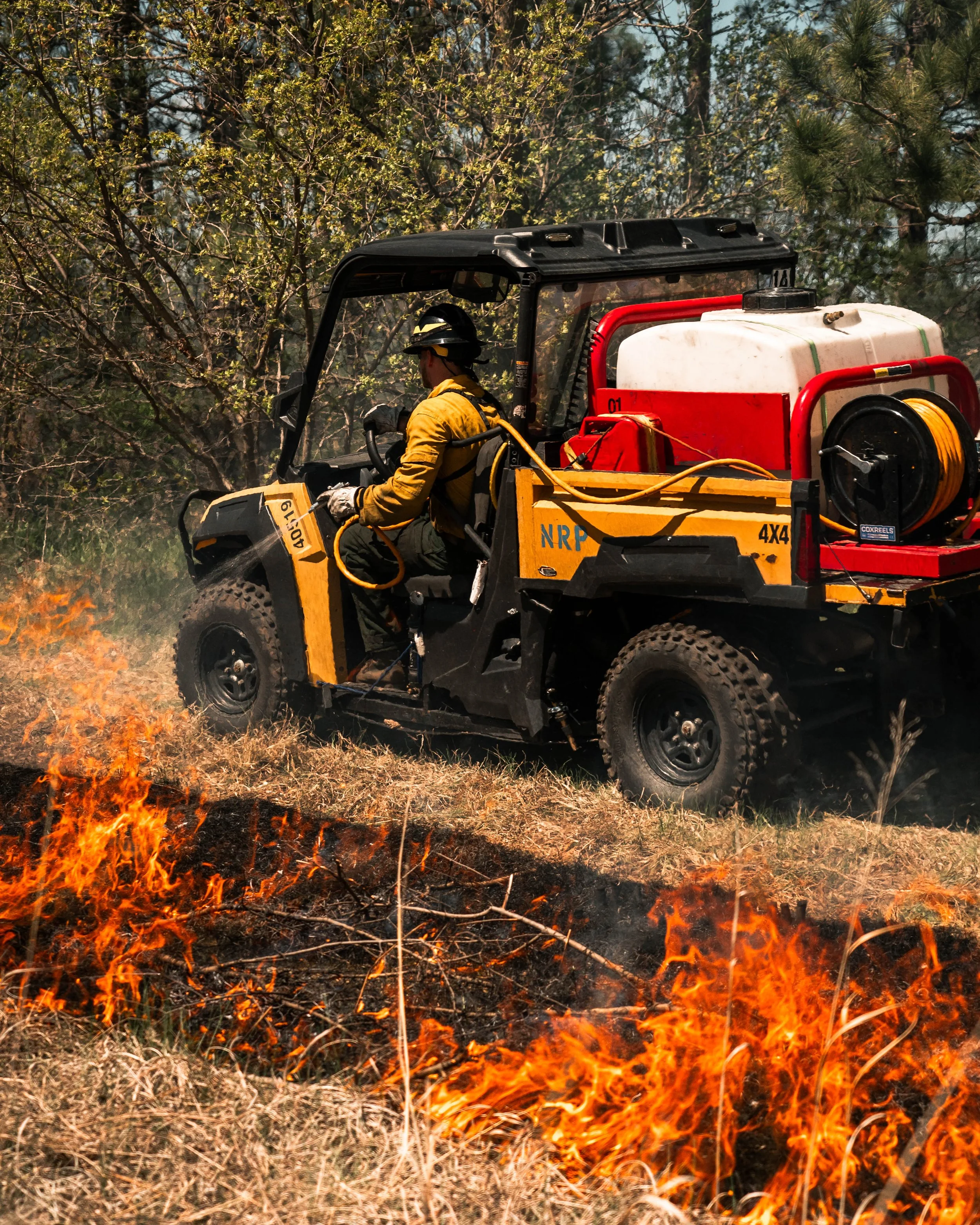 Prescribed Fire — NRP - Ecological Restoration
