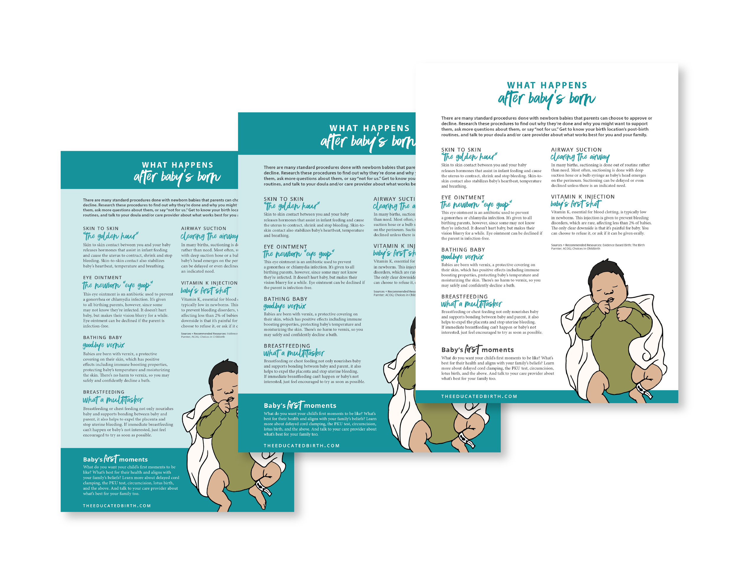 Infographics — The Educated Birth