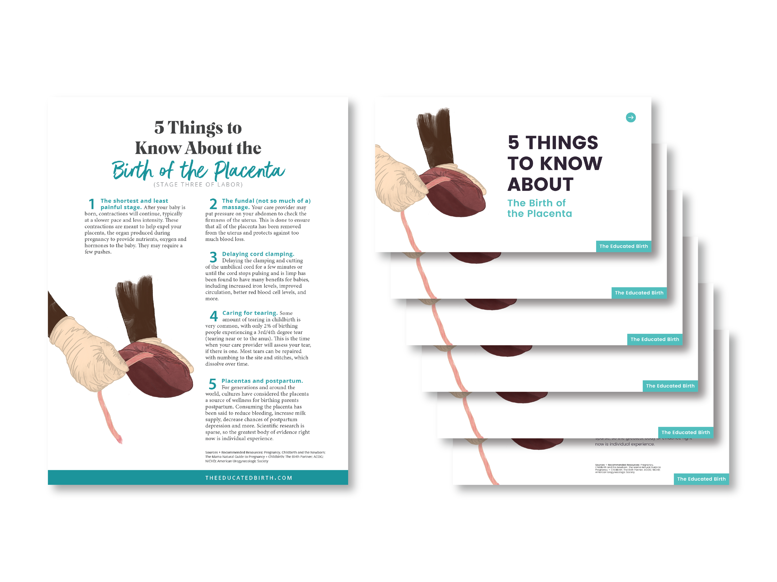 Infographics — The Educated Birth