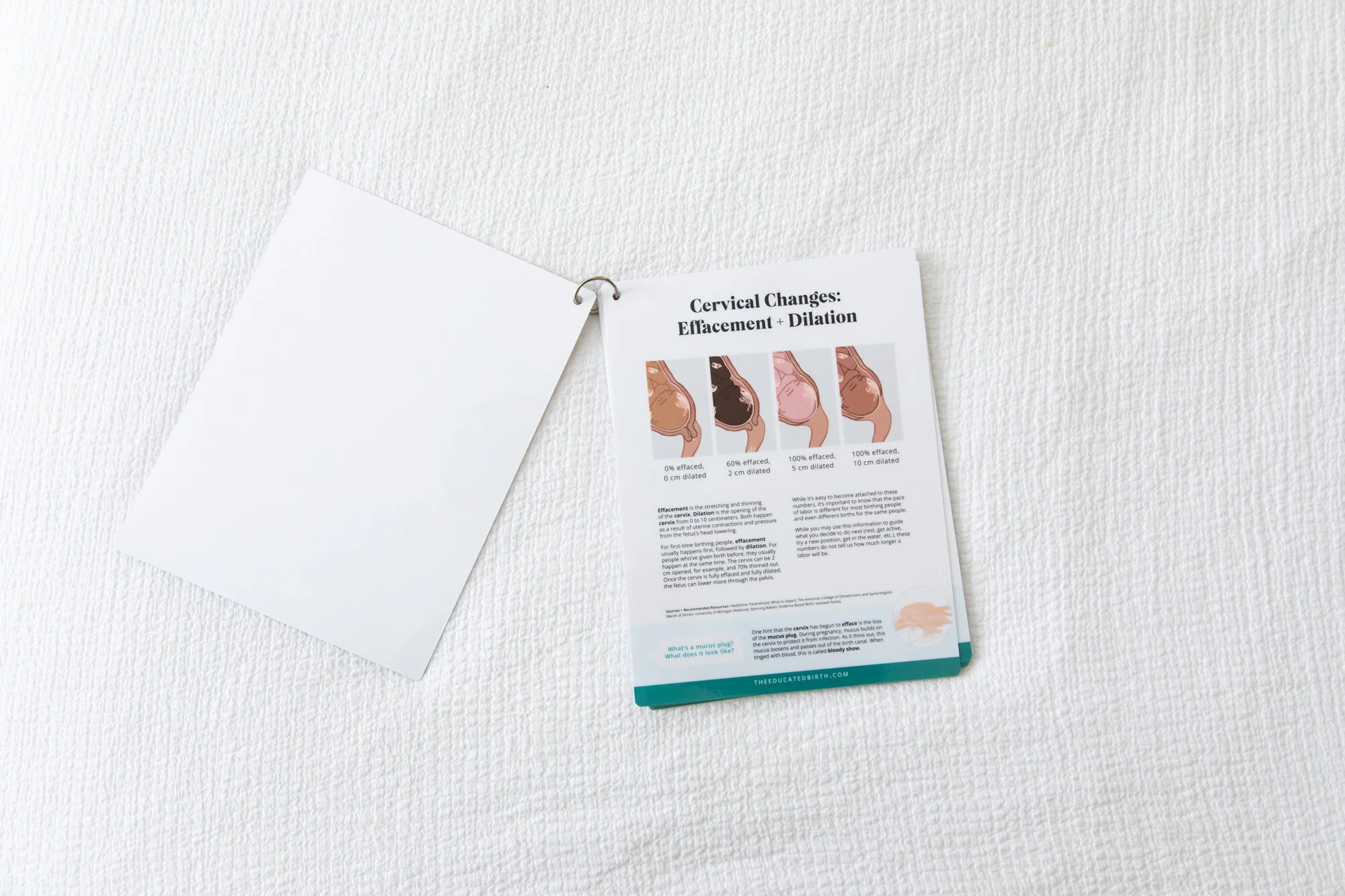 Prints — The Educated Birth