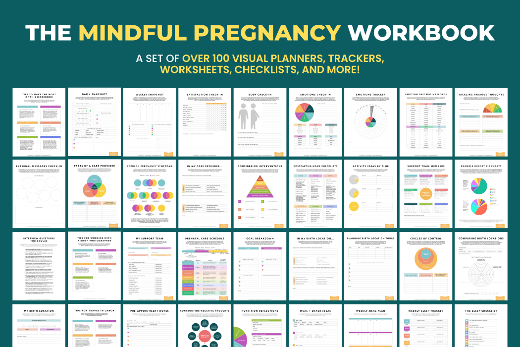 The Postpartum Toolkit (Digital Download) — The Educated Birth