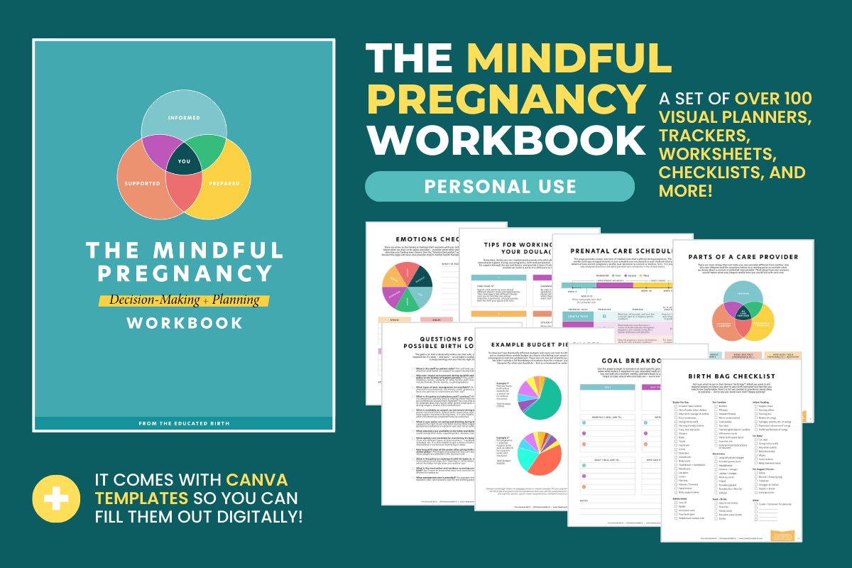The Mindful Pregnancy Workbook (PERSONAL USE) — The Educated Birth