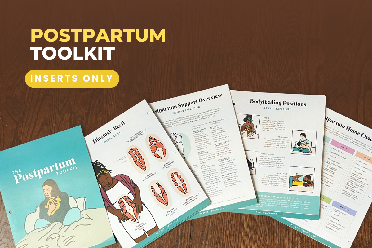 Pregnancy, Labor + Birth, + Postpartum Toolkit Bundle | Pre-Order — The ...