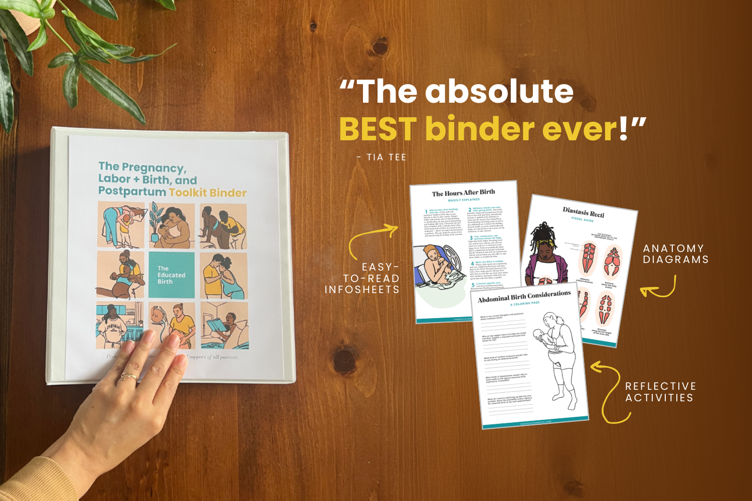 Prints — The Educated Birth