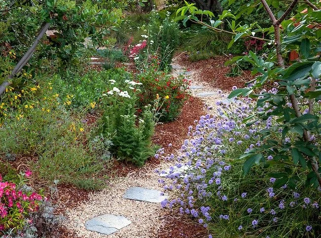 Landscape Design Assistance Program — Smart Yards Coop - San José Based ...