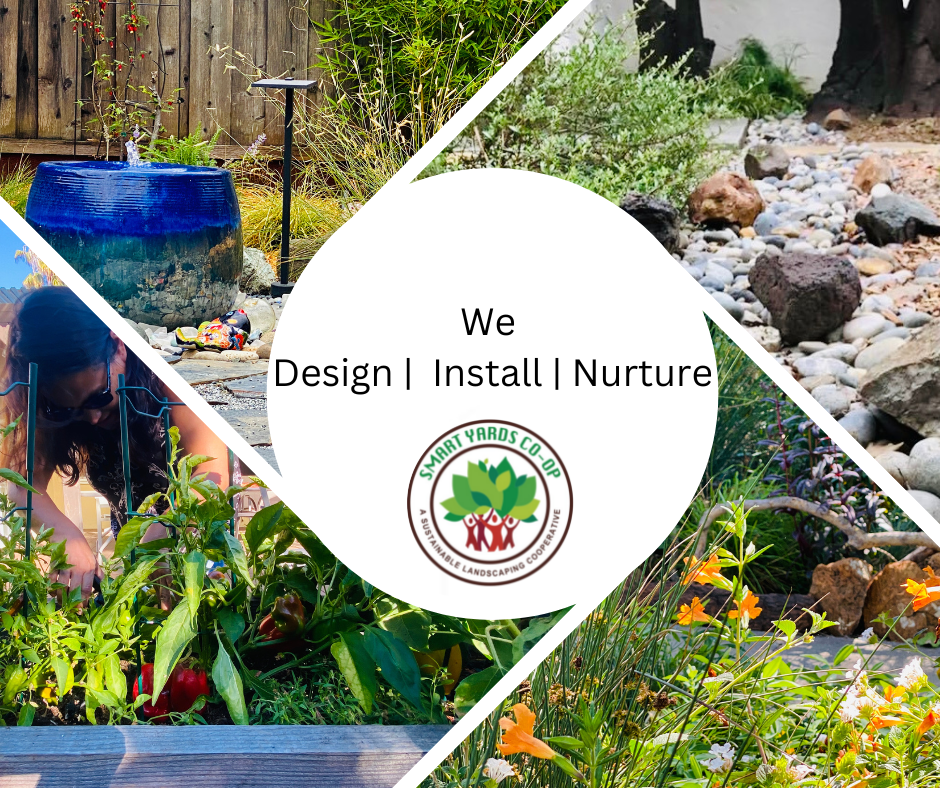Our Work — Smart Yards Coop - San José Based Ecological Landscaping ...