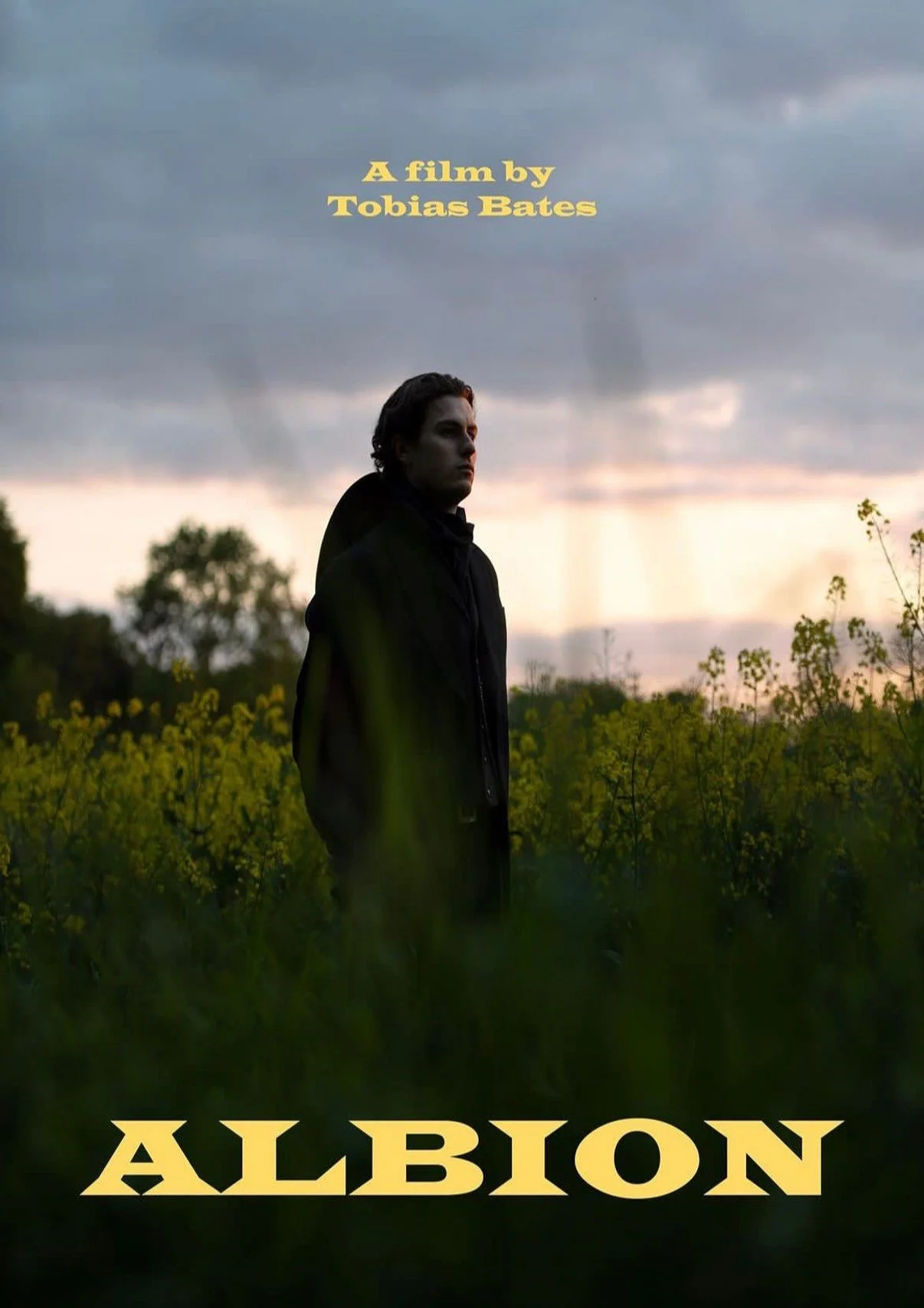 Film Credits — theodore Sandberg