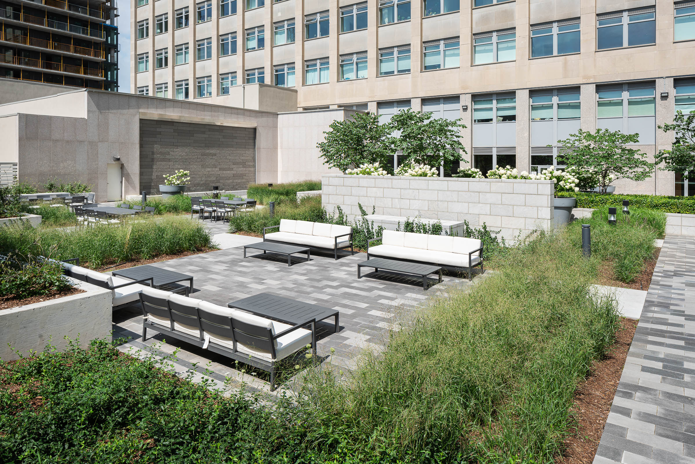 Landscape Architecture Photography - Toronto - Michael Muraz — Michael ...