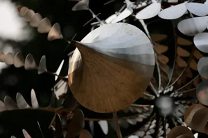 CROSSOTA MILLSAE — Anthony Howe
