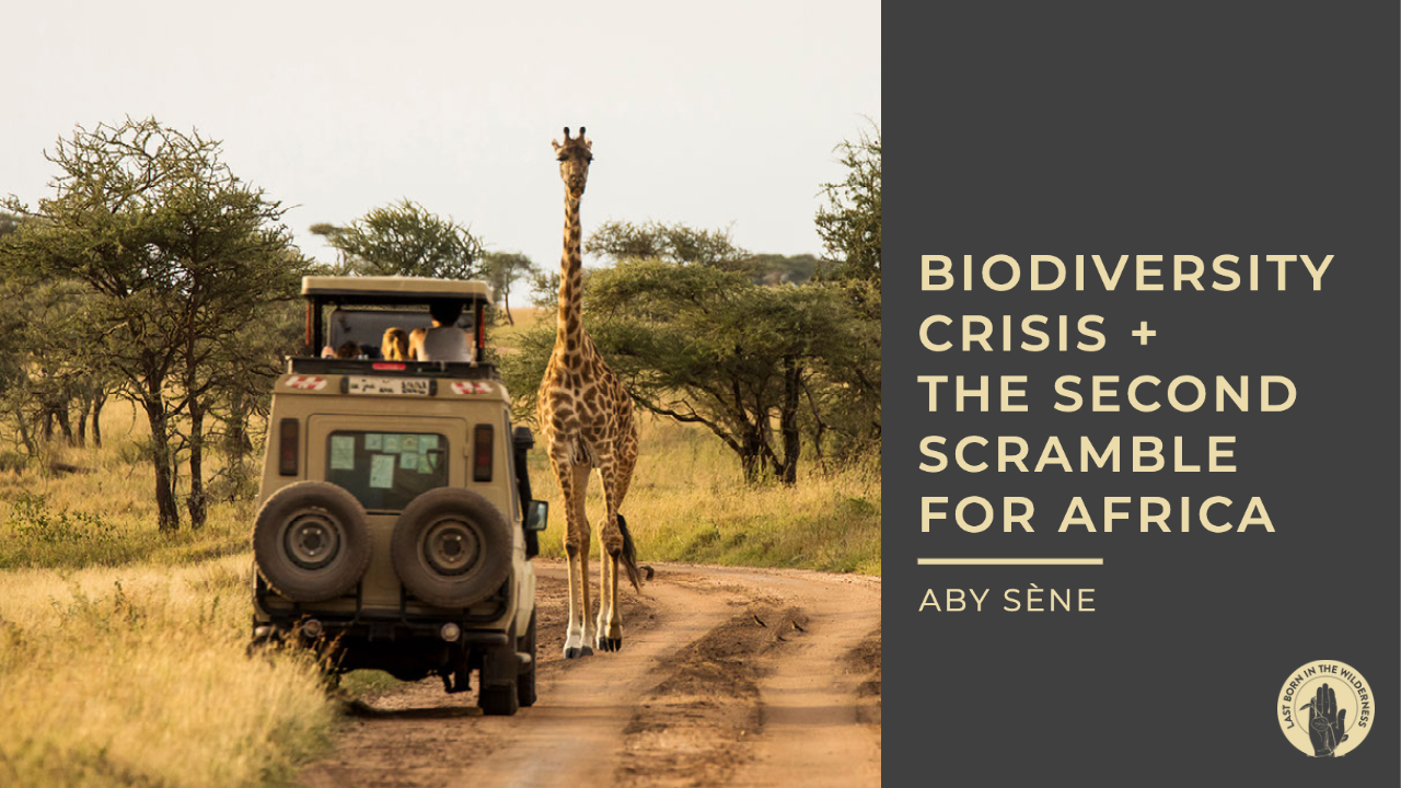 Fortress Conservation: Biodiversity Crisis & The Second Scramble For ...