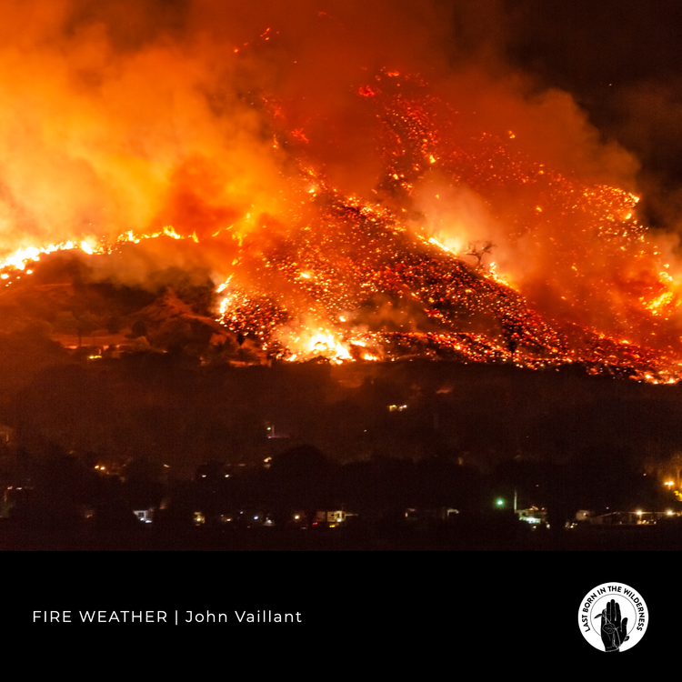 Fire Weather: The Petrocene & The Making Of A Beast / John Vaillant ...