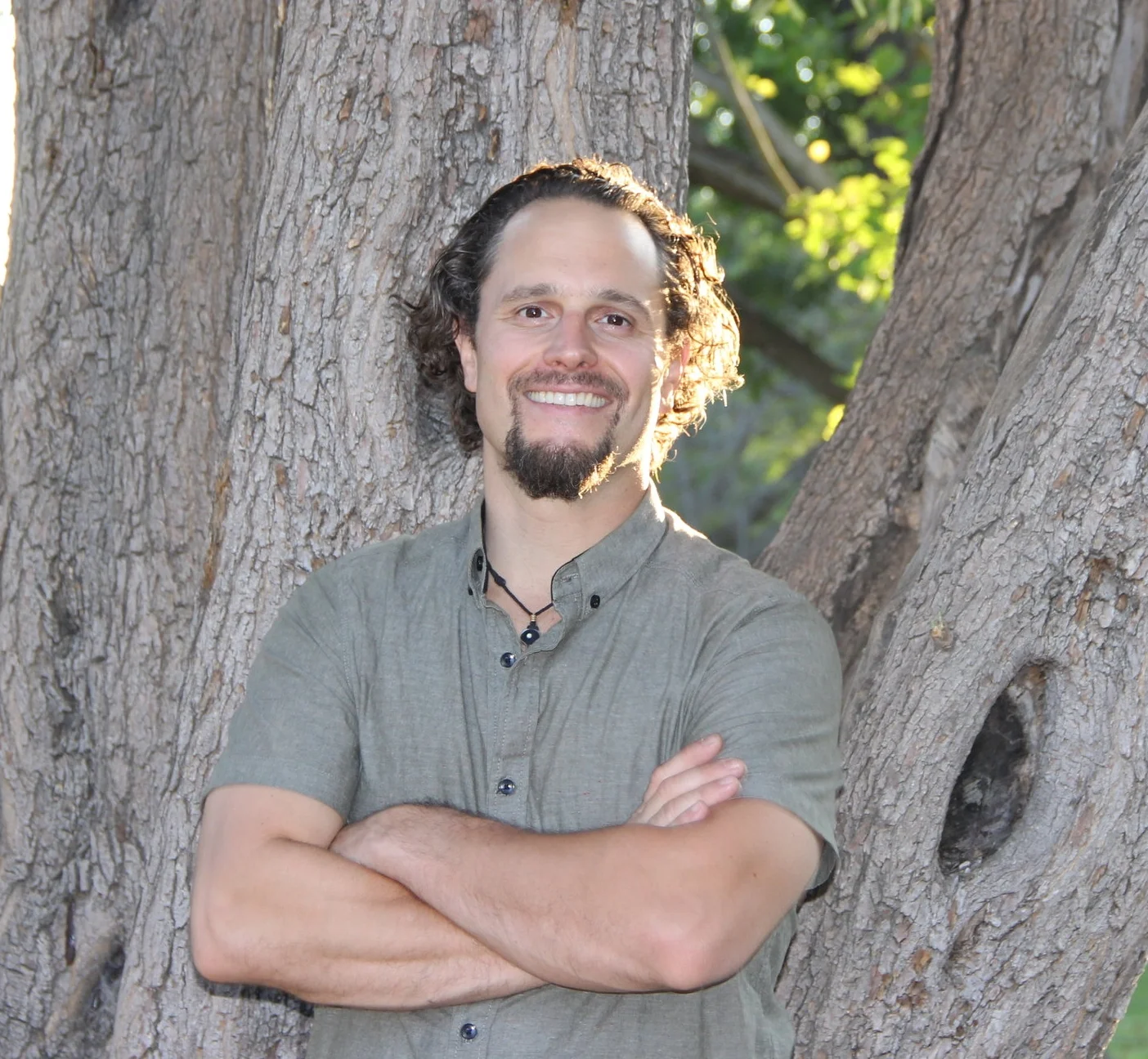 Aspen Grove Collective