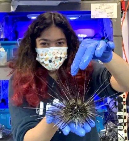 Nidhi Sajit Menon — Marine Spatial Ecology Lab