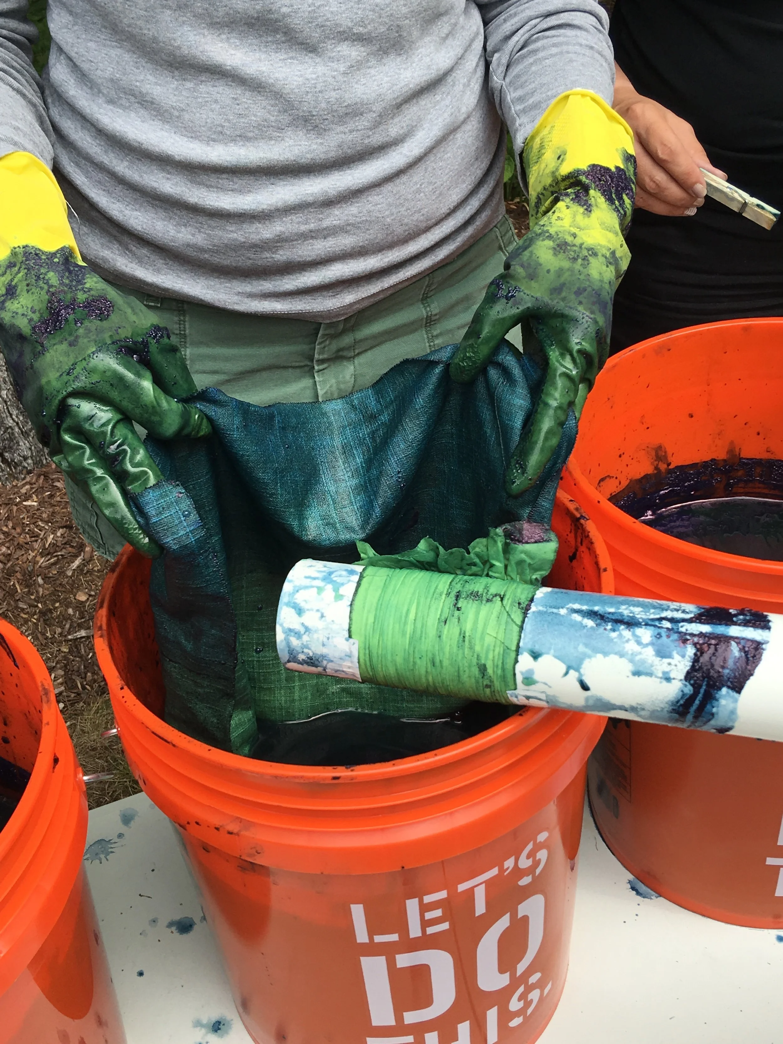 Gallery — The Indigo Squirrel