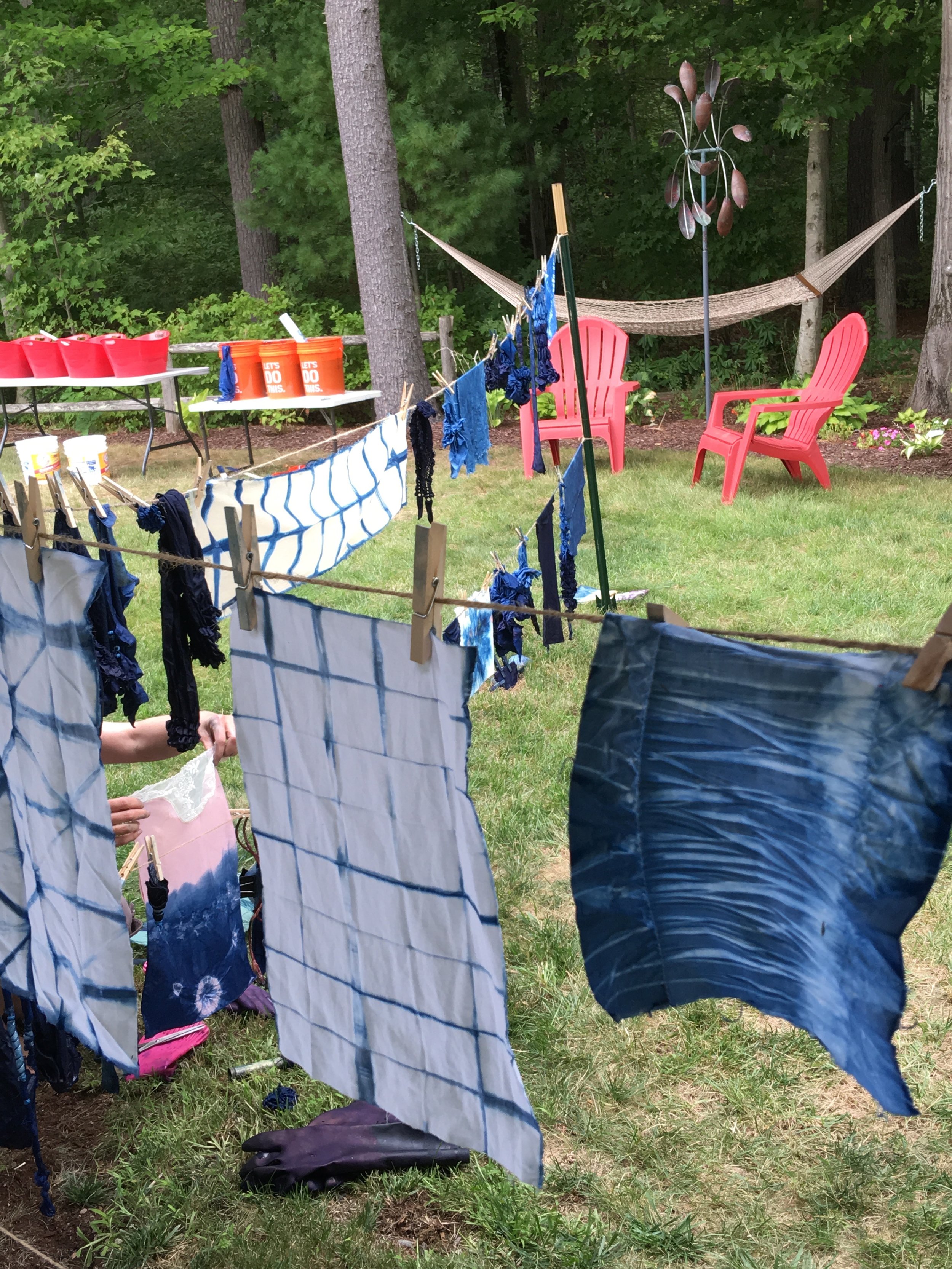 Gallery — The Indigo Squirrel