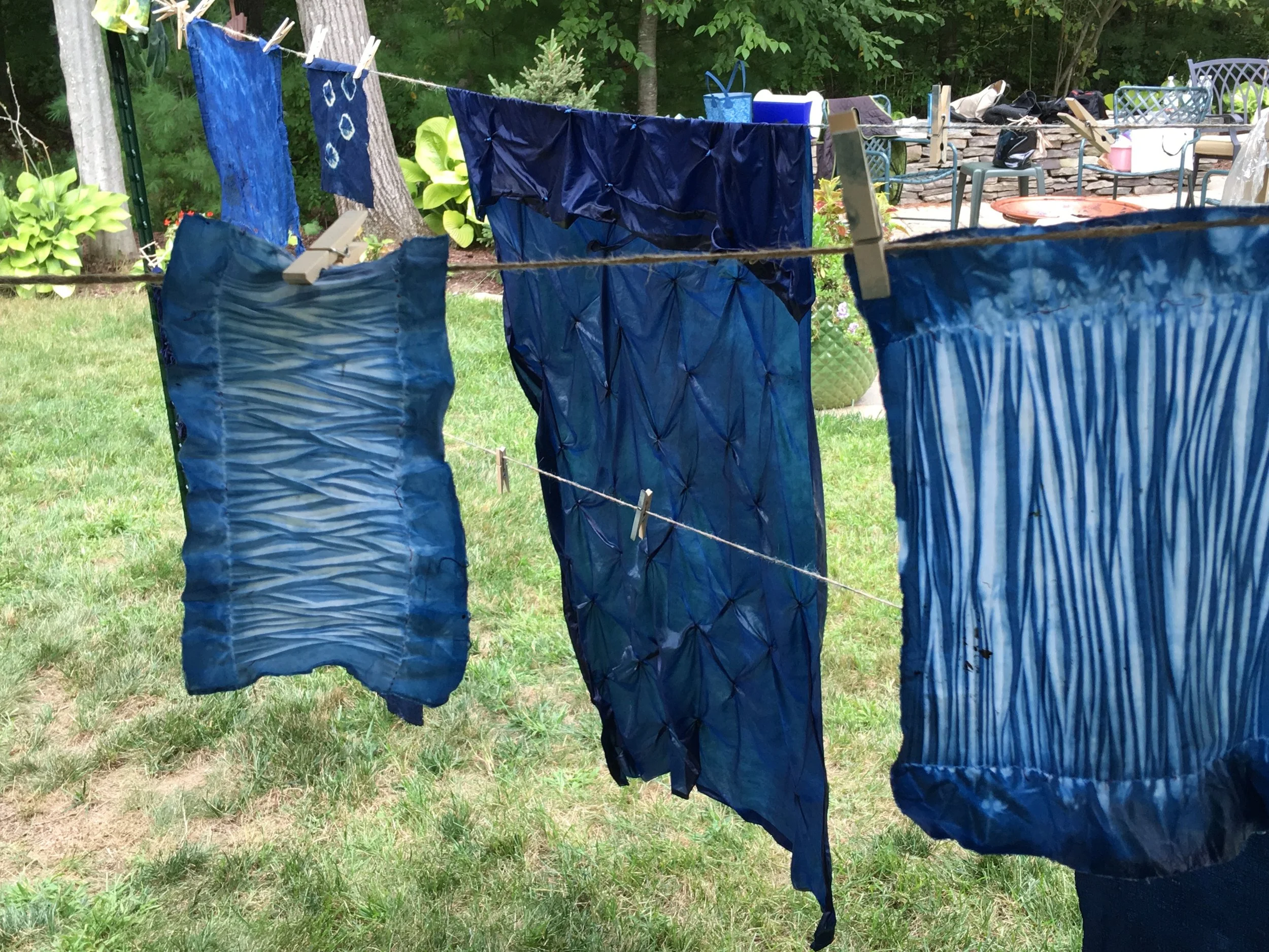 Gallery — The Indigo Squirrel