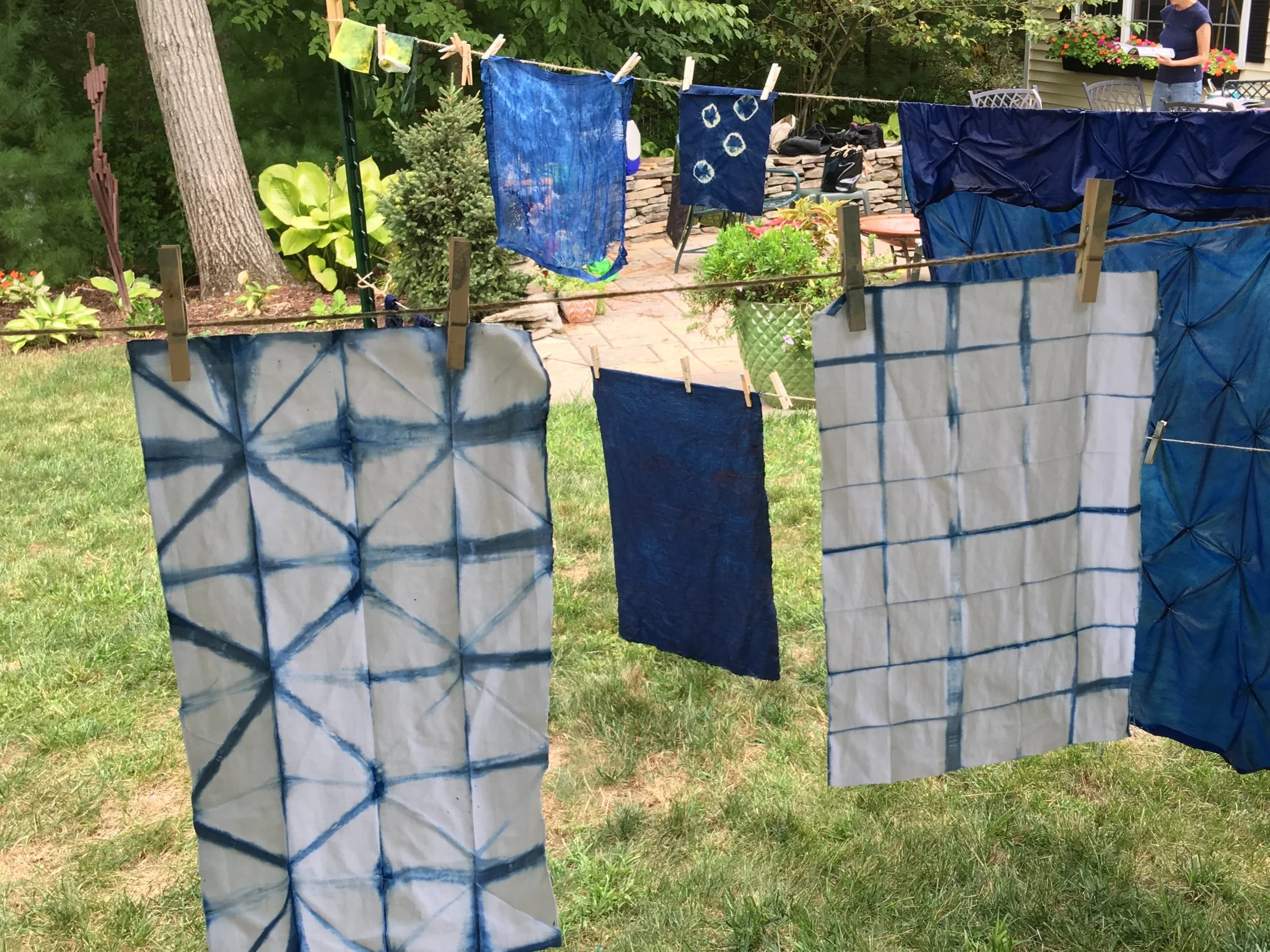 Gallery — The Indigo Squirrel