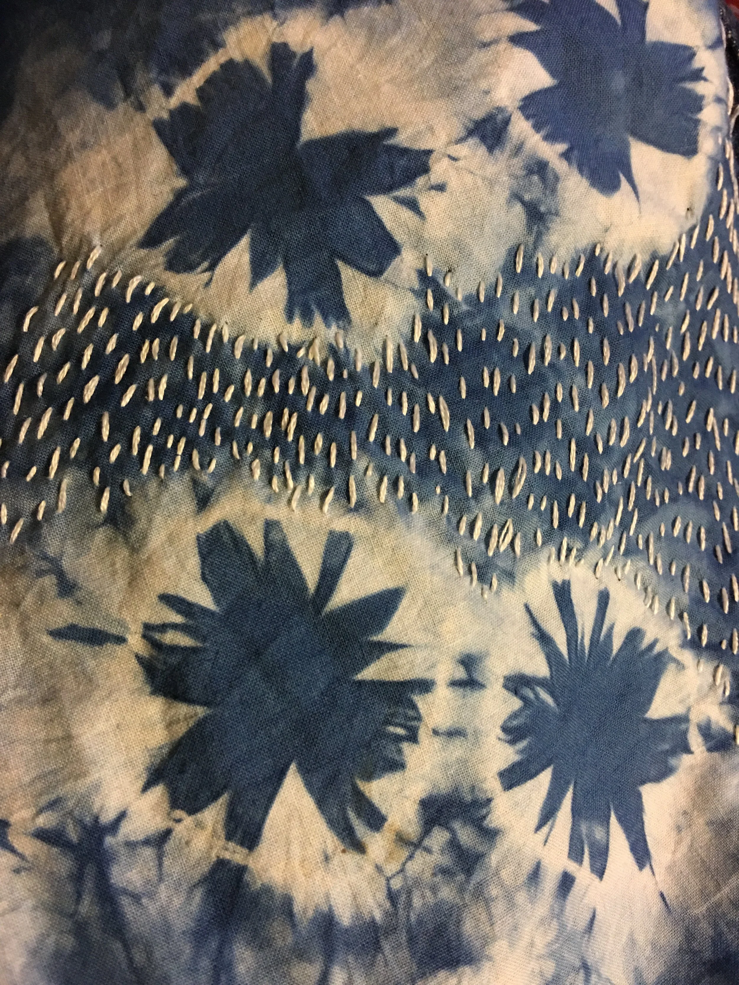 Gallery — The Indigo Squirrel