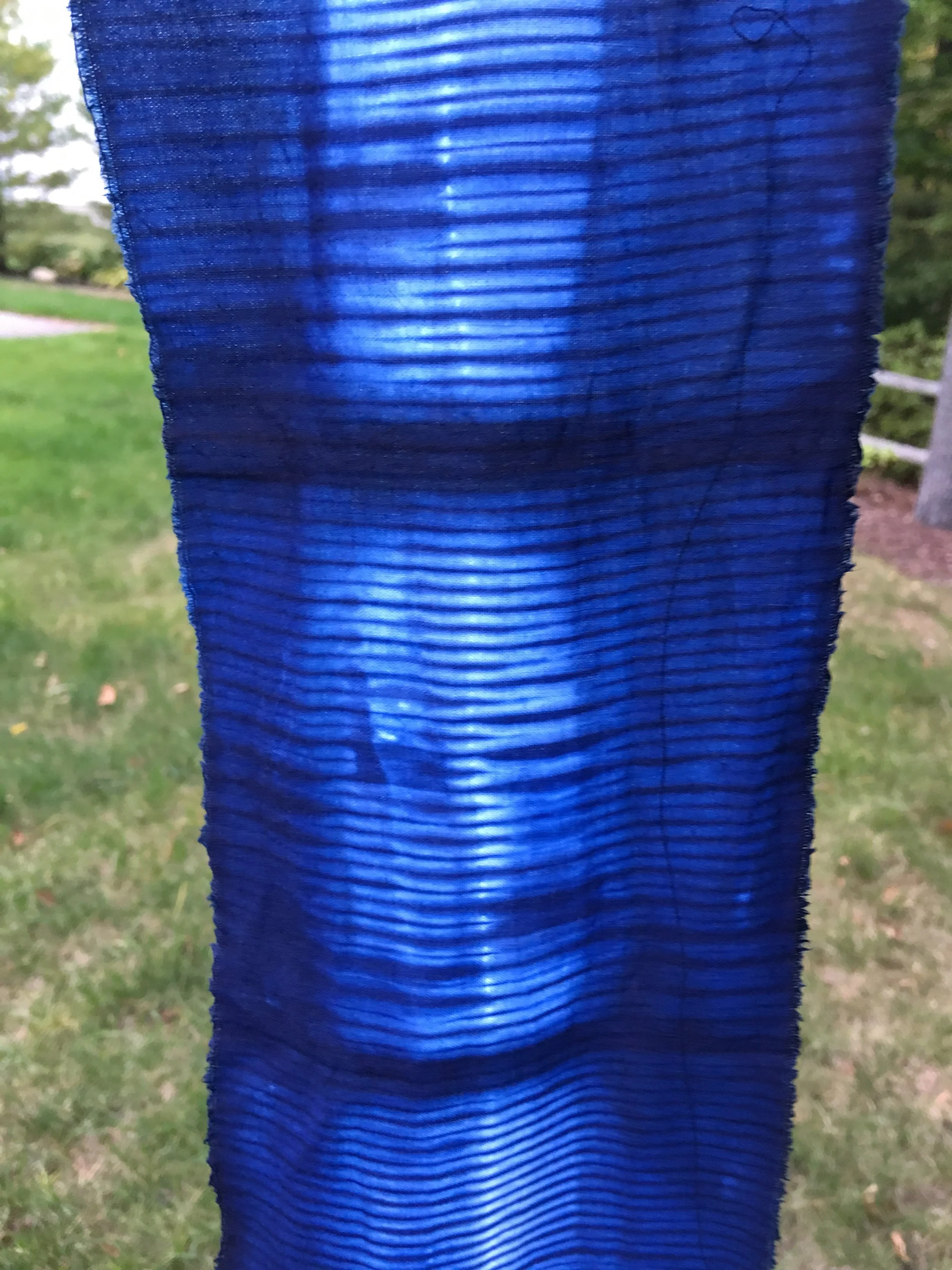 Gallery — The Indigo Squirrel