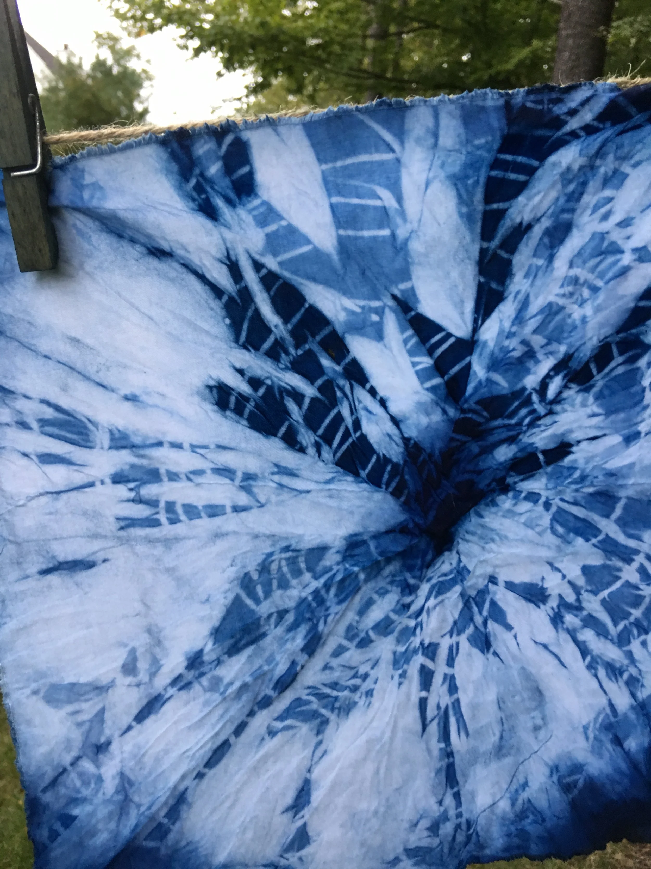 Gallery — The Indigo Squirrel
