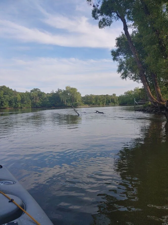 Little Rock Lake Drawdown — Benton Soil & Water Conservation District