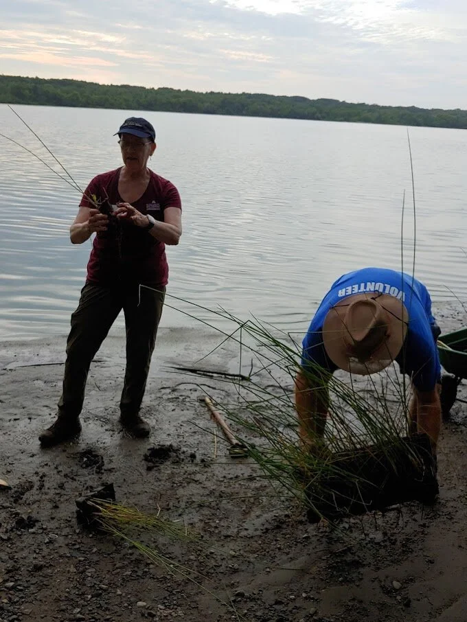 Little Rock Lake Drawdown — Benton Soil & Water Conservation District