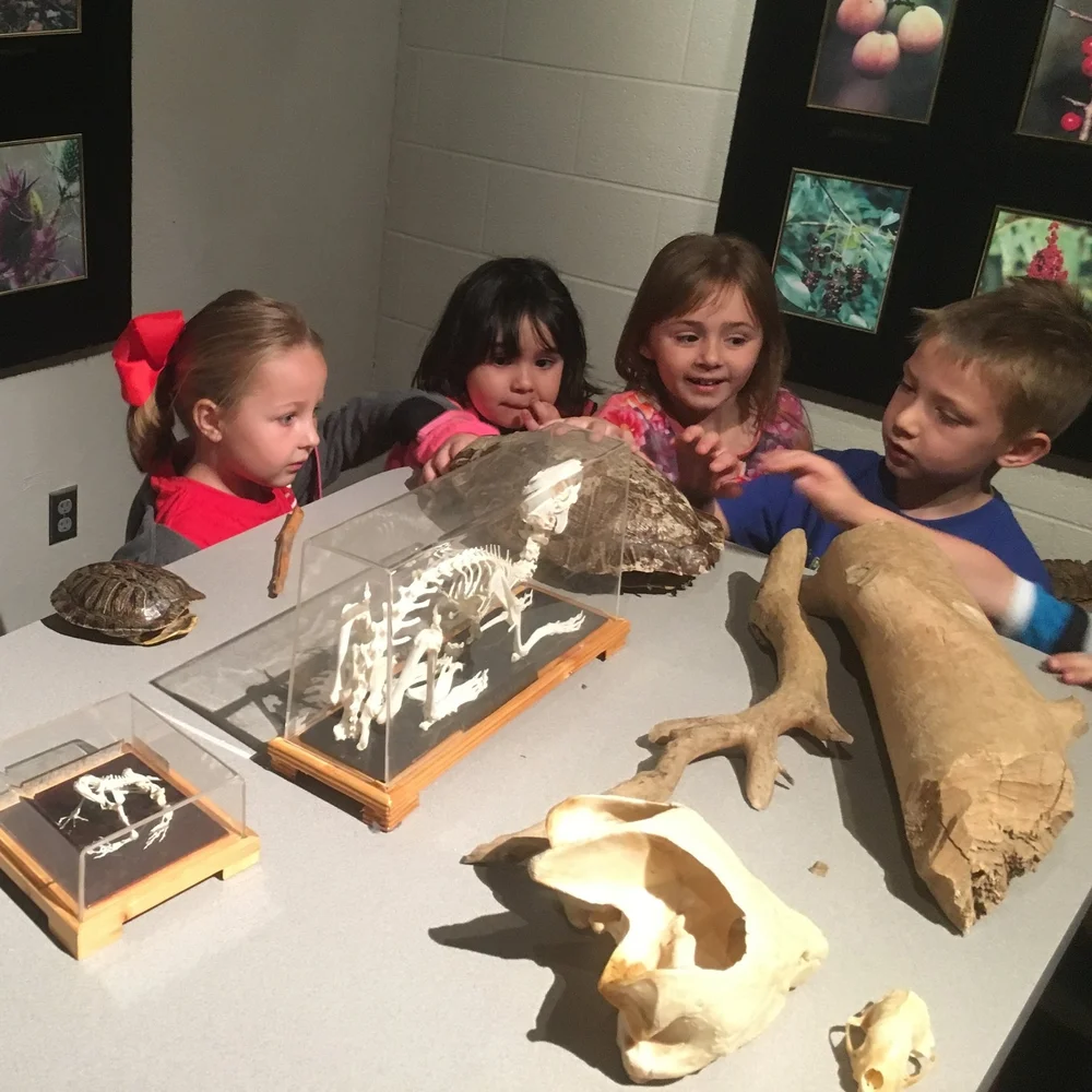 Education — Goddard Youth Camp