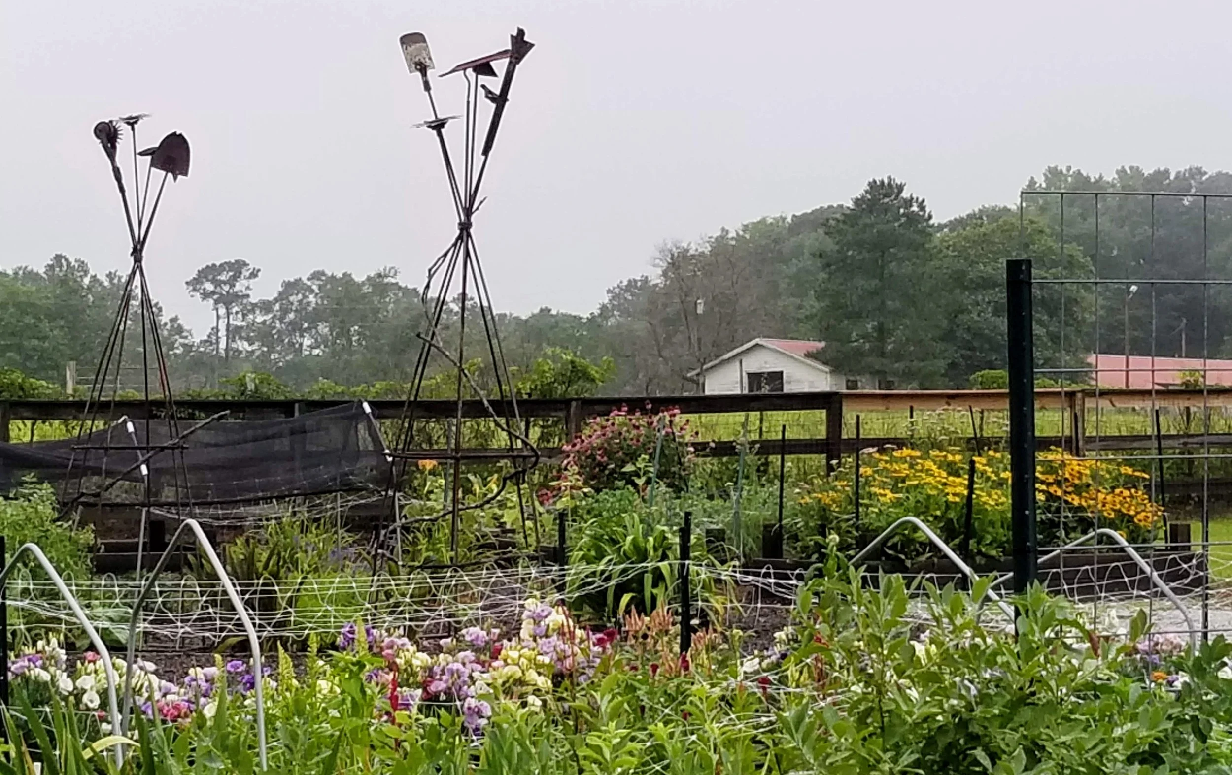 Our Story — Purple Tuteur Farm