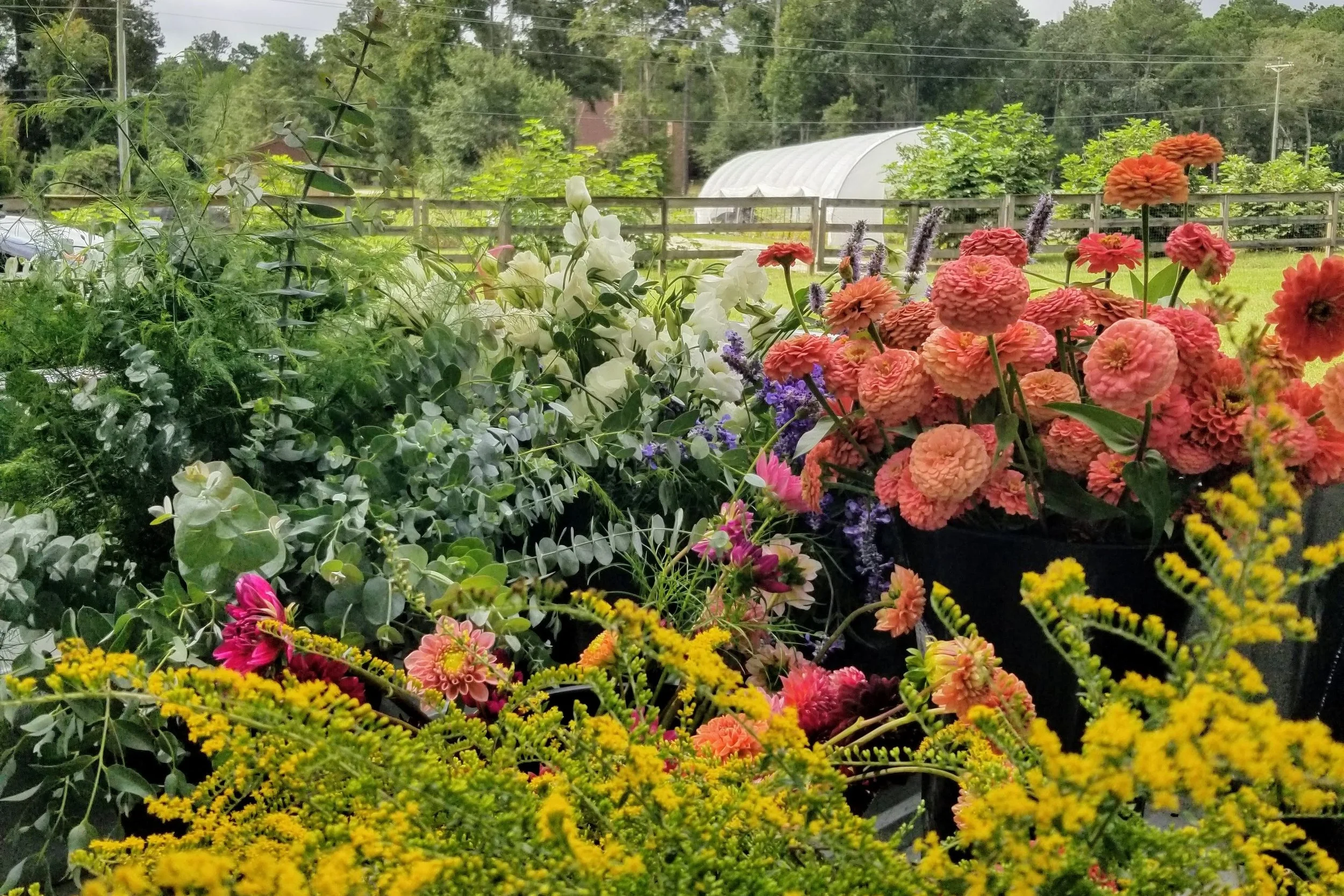 2026 Flower Subscriptions | Seasonal Bouquets Delivered in Columbia, SC ...