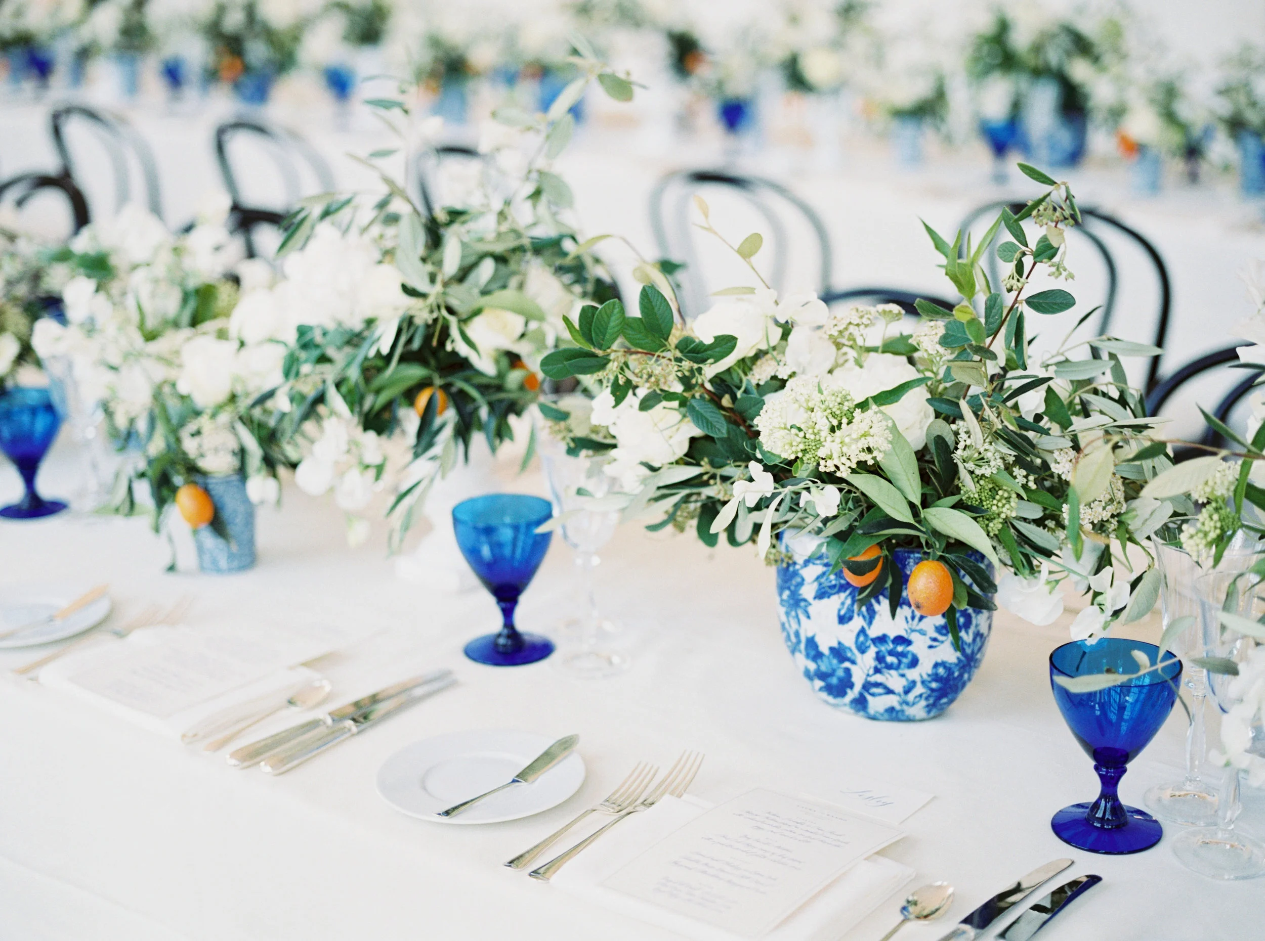 Portfolio — Liz Linkleter