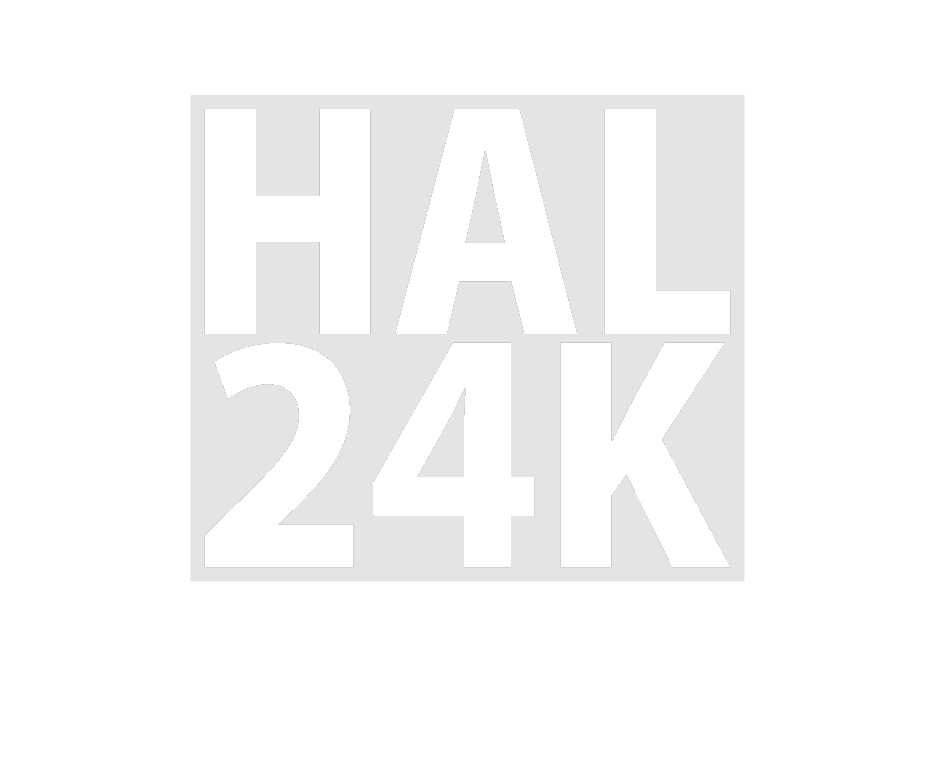 Data scientists — HAL24K Labs
