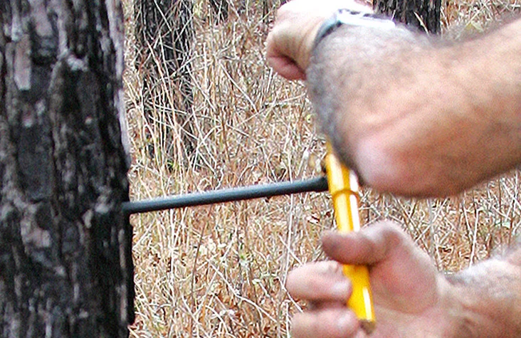 Careers — ForestryWorks