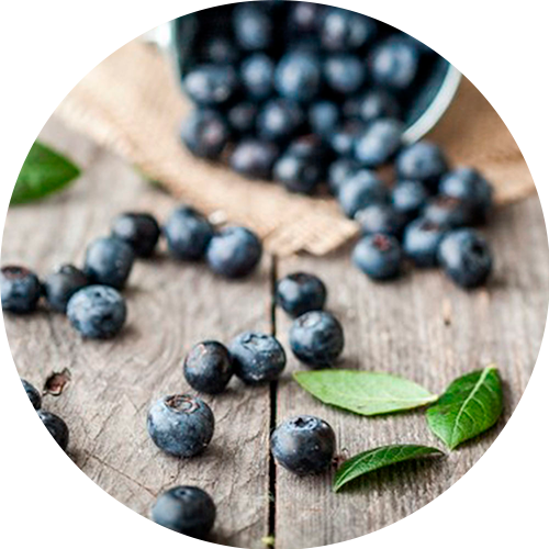 BerryCo. | Global Berry Marketer