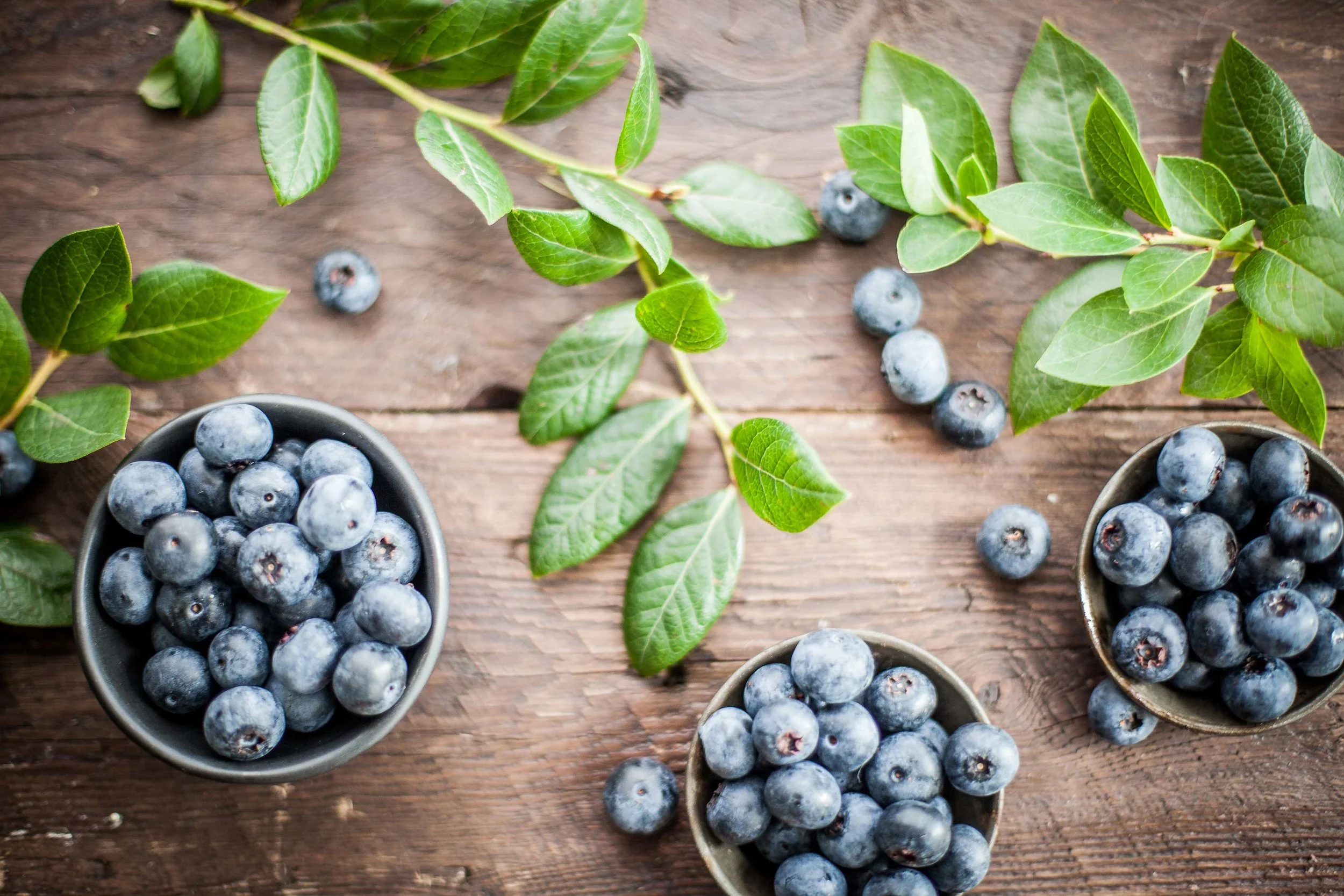 BerryCo. | Global Berry Marketer