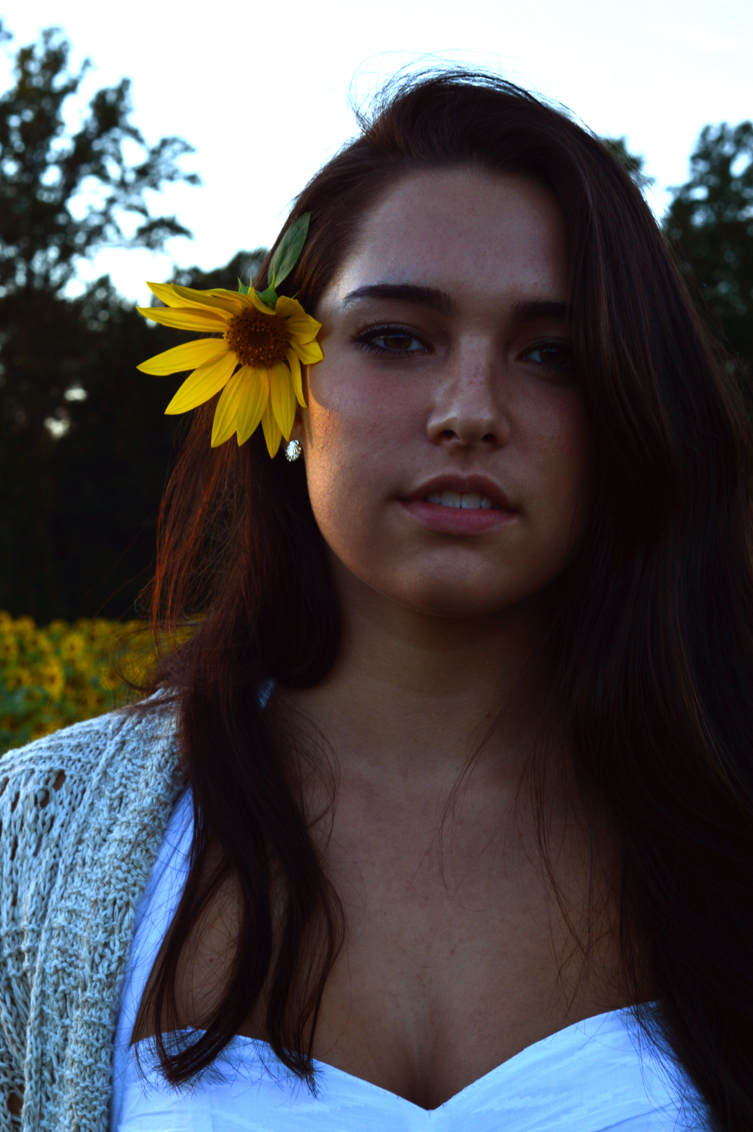 PHASE II (2013 - 2014) developing — Ginny Kim