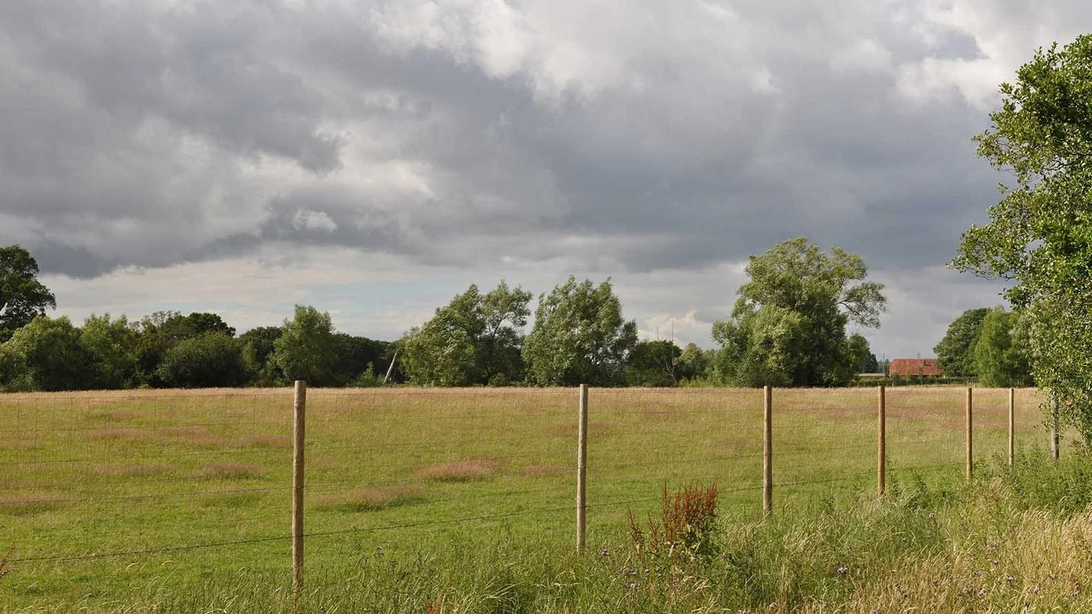 LVIA & LVA — Coe Design Land and Art