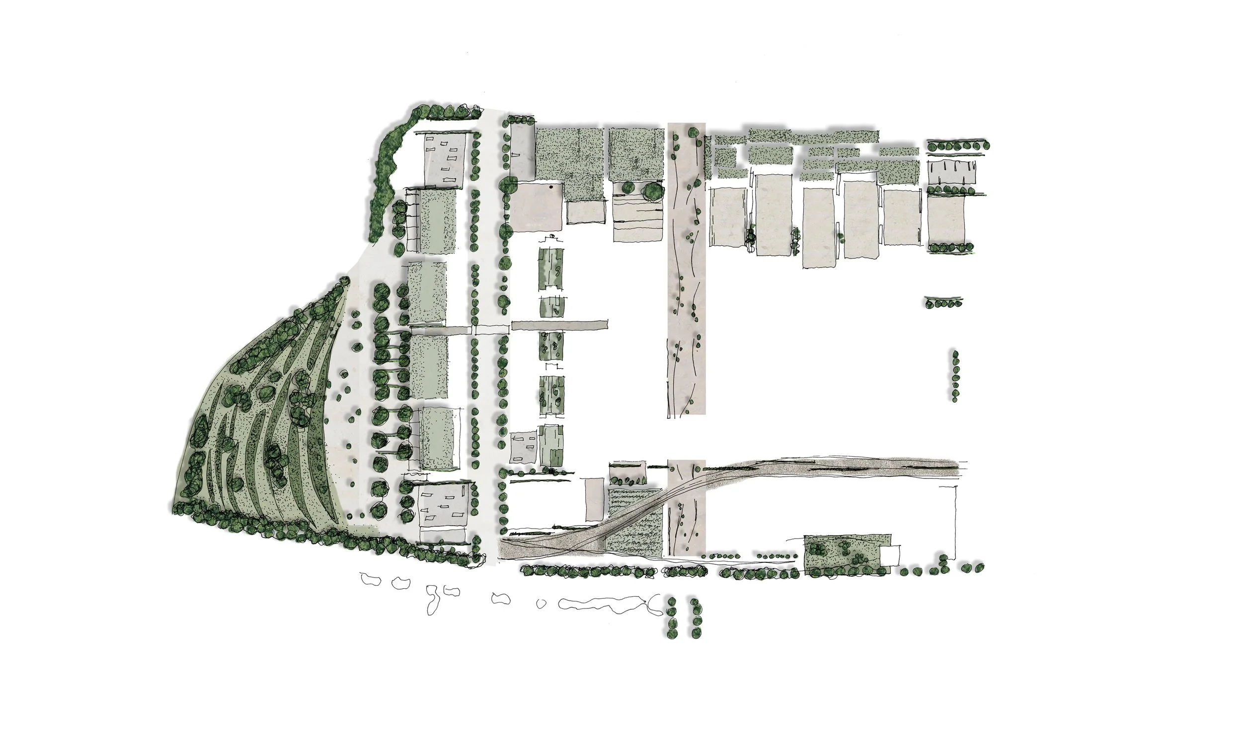 Bologna — Coe Design Landscape Architecture