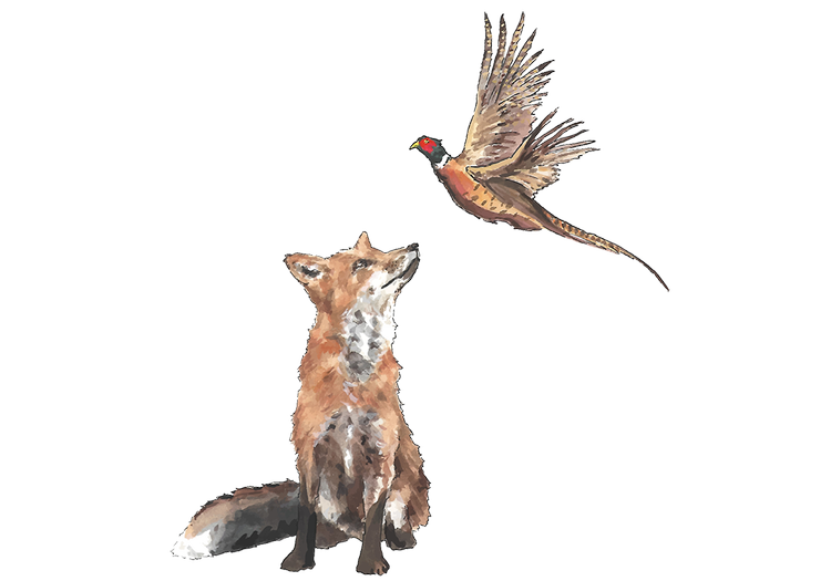 Reservations — The Fox & Pheasant