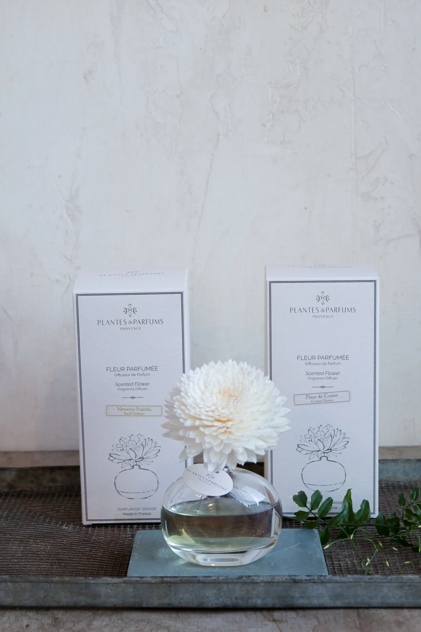 Candles and Diffusers from France | Botanical Scented Candles | Candle ...